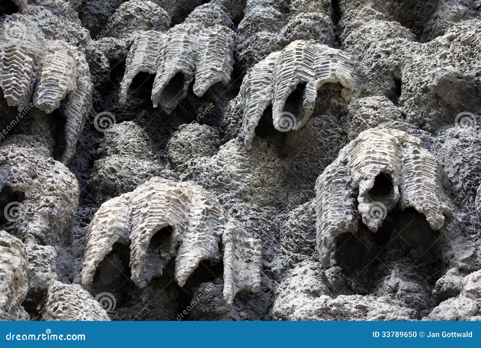 Stalactite rock stock photo. Image of pattern, ecosystem - 33789650