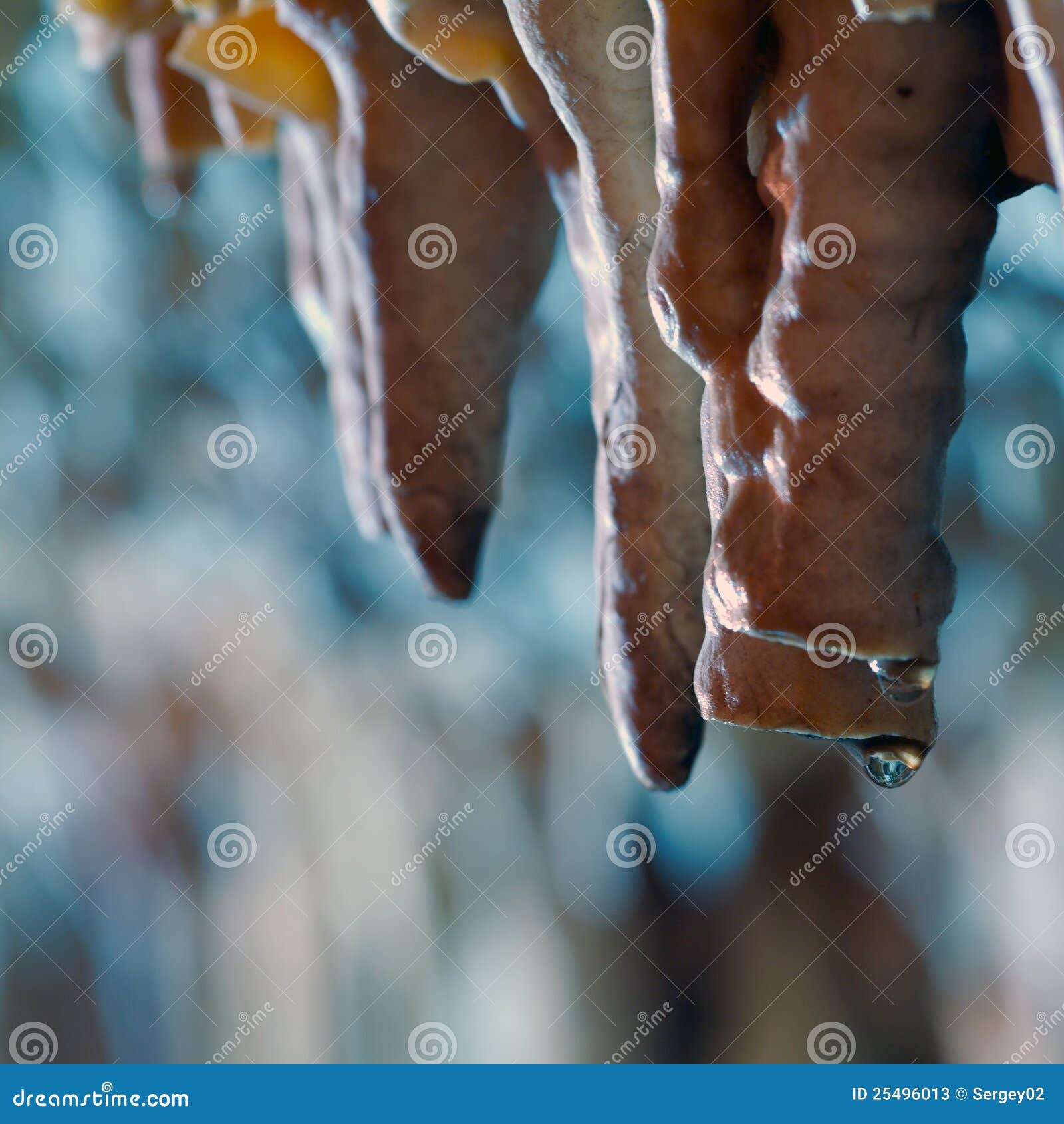 Stalactite Stalagmite Cavern Stock Image - Image of growth, mineral ...