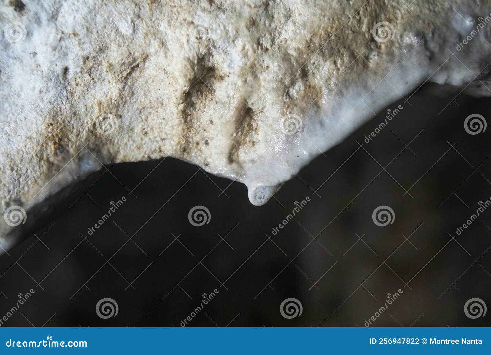Selective Focus Water Droplets at the Tip of the Stalactite. Stock ...