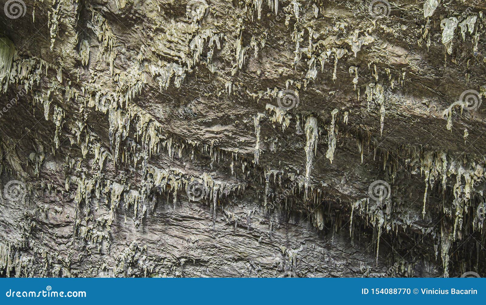 Stalactites on the Ceiling of a Grotto Stock Photo - Image of formation ...