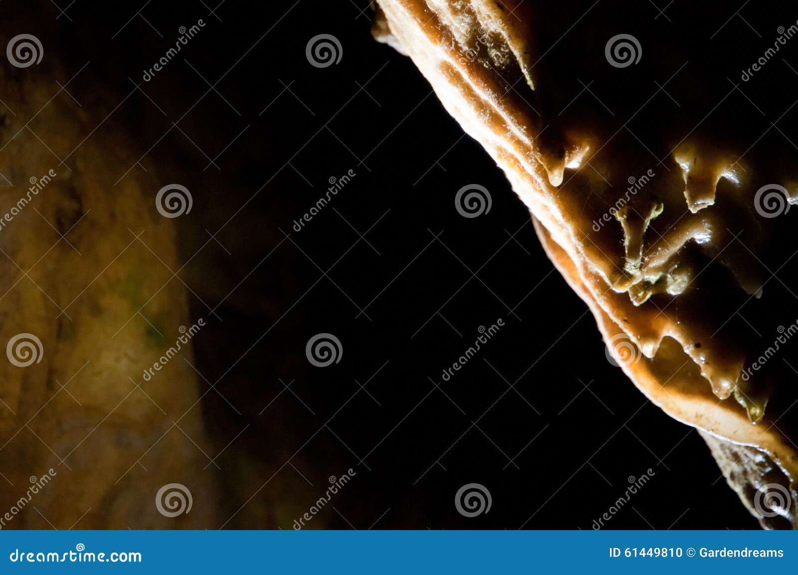 Stalactites and Flowstone in Cave Stock Photo - Image of cave ...