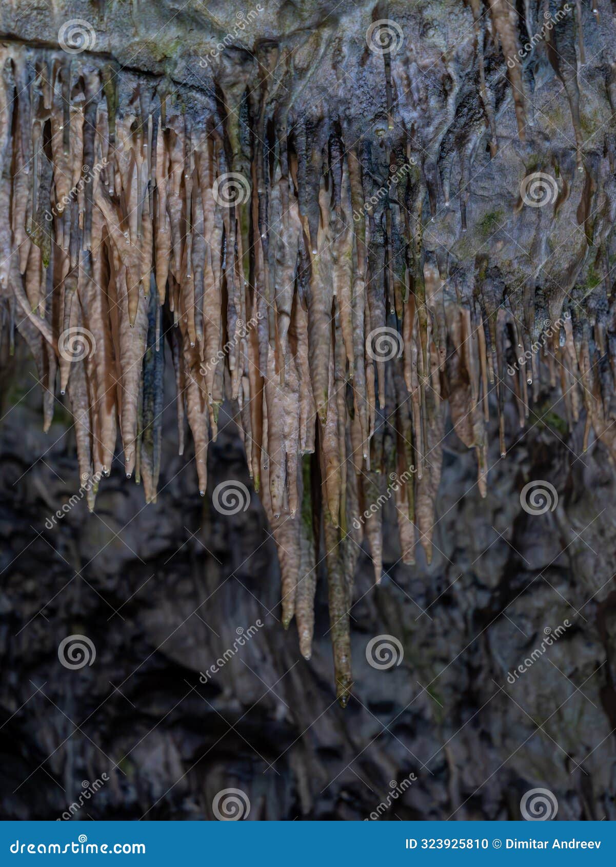 Stalactites Hanging from Ceiling of Dark Cave Stock Photo - Image of ...