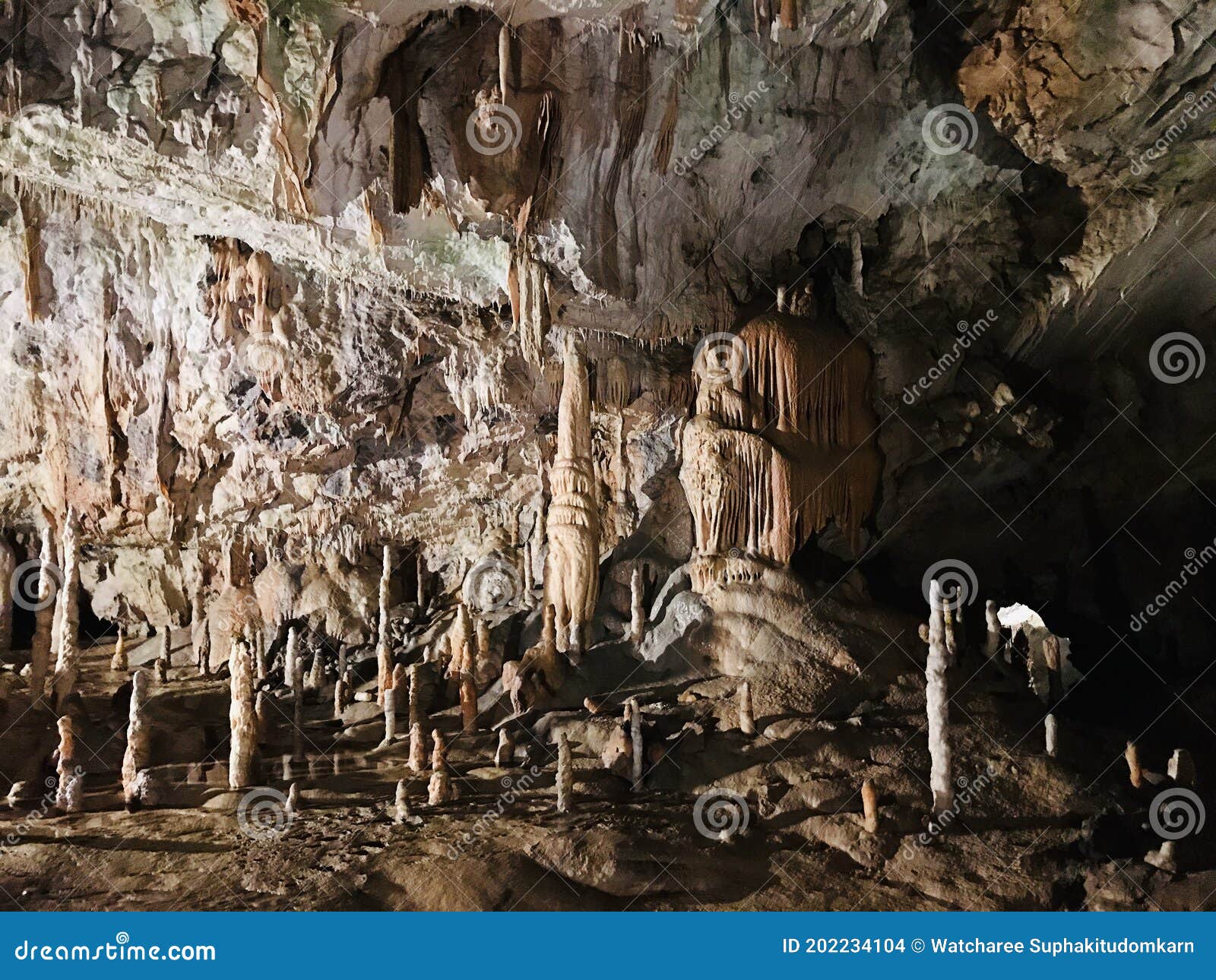 Stalattite E Stalagmite Della Grotta Postojna. Fotografia Stock - Immagine di geologia, età ...