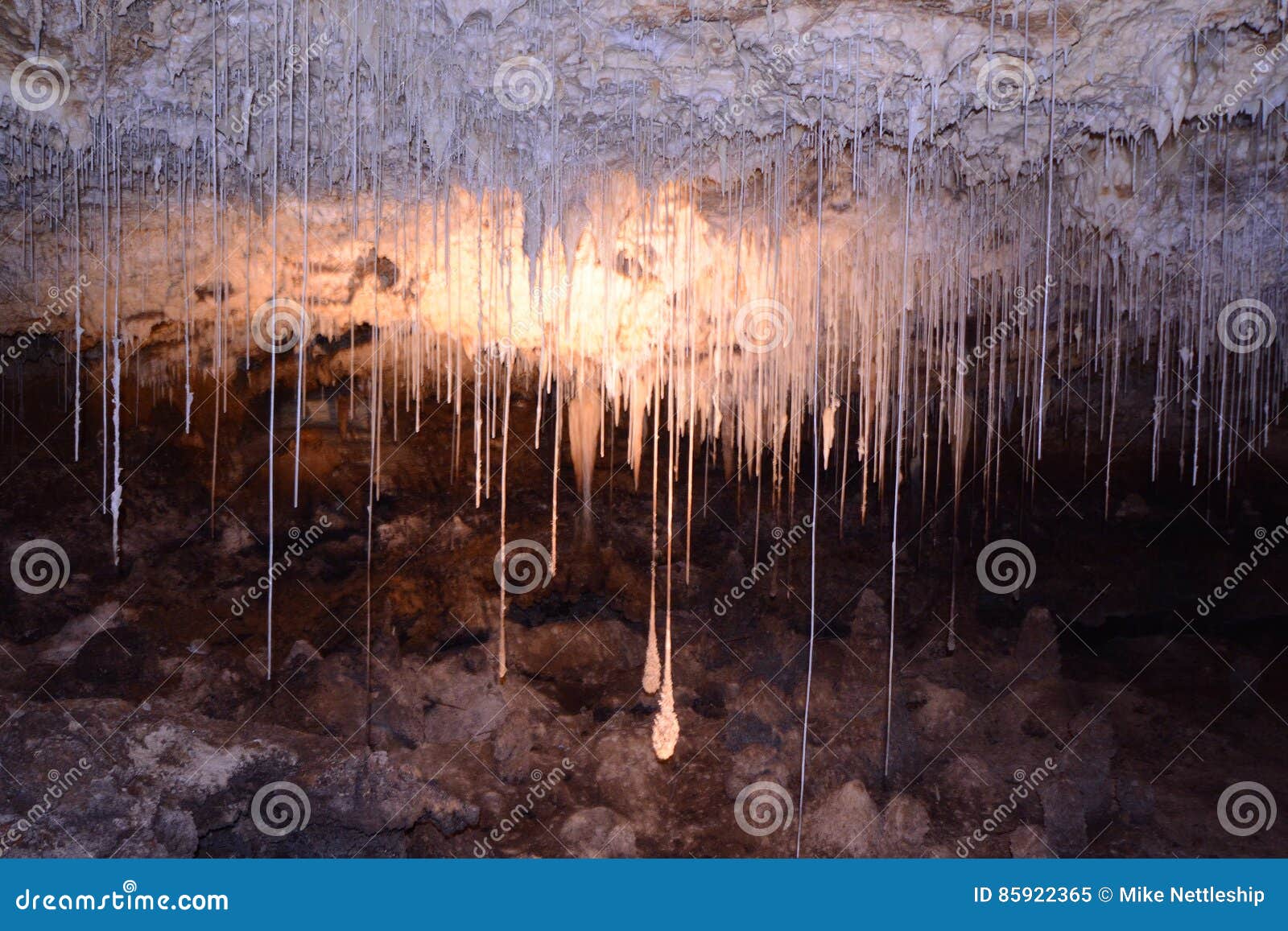 Stalattiti in Australia Occidentale Della Caverna Del Gioiello Immagine ...