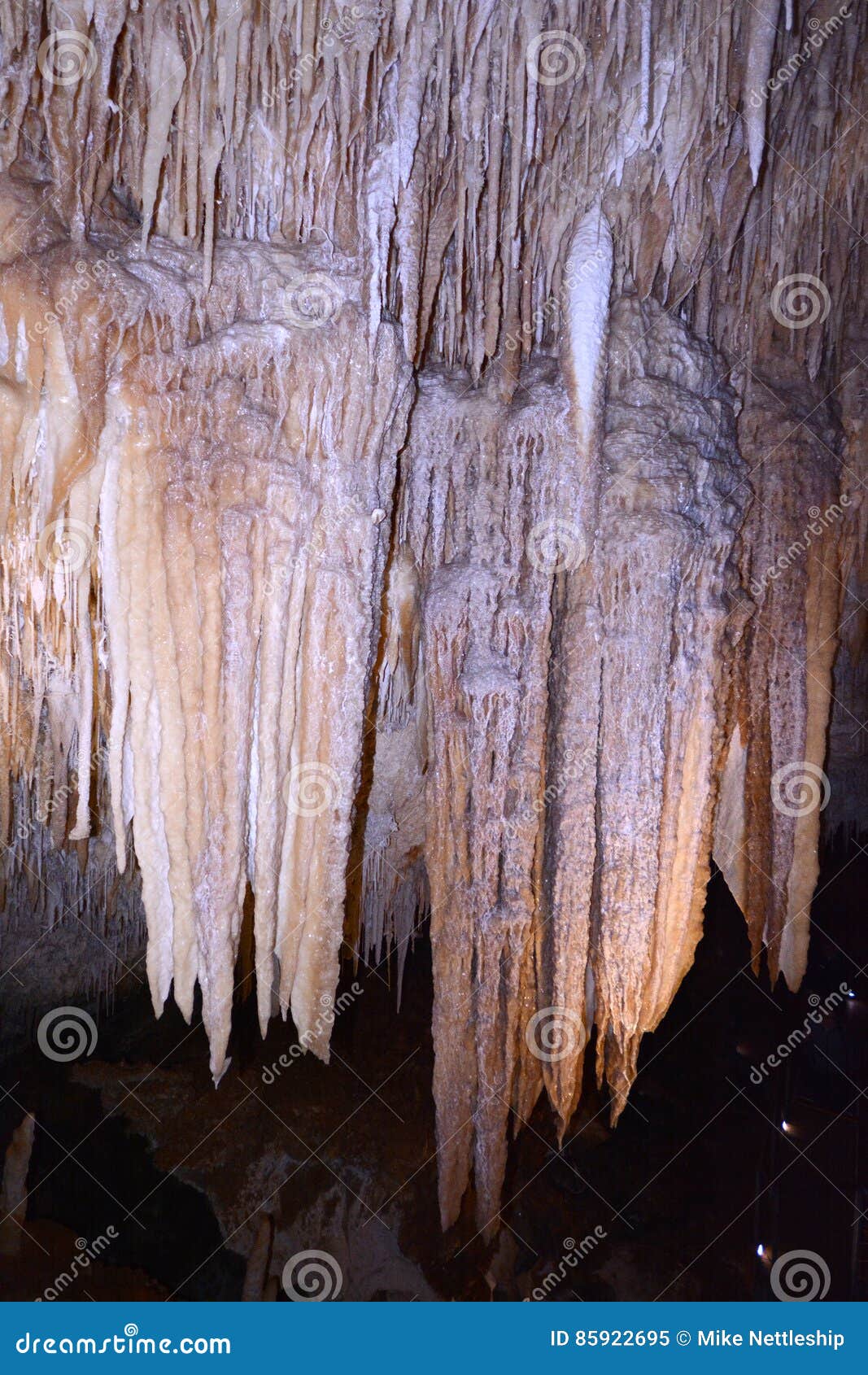 Stalattiti in Australia Occidentale Della Caverna Del Gioiello Immagine ...