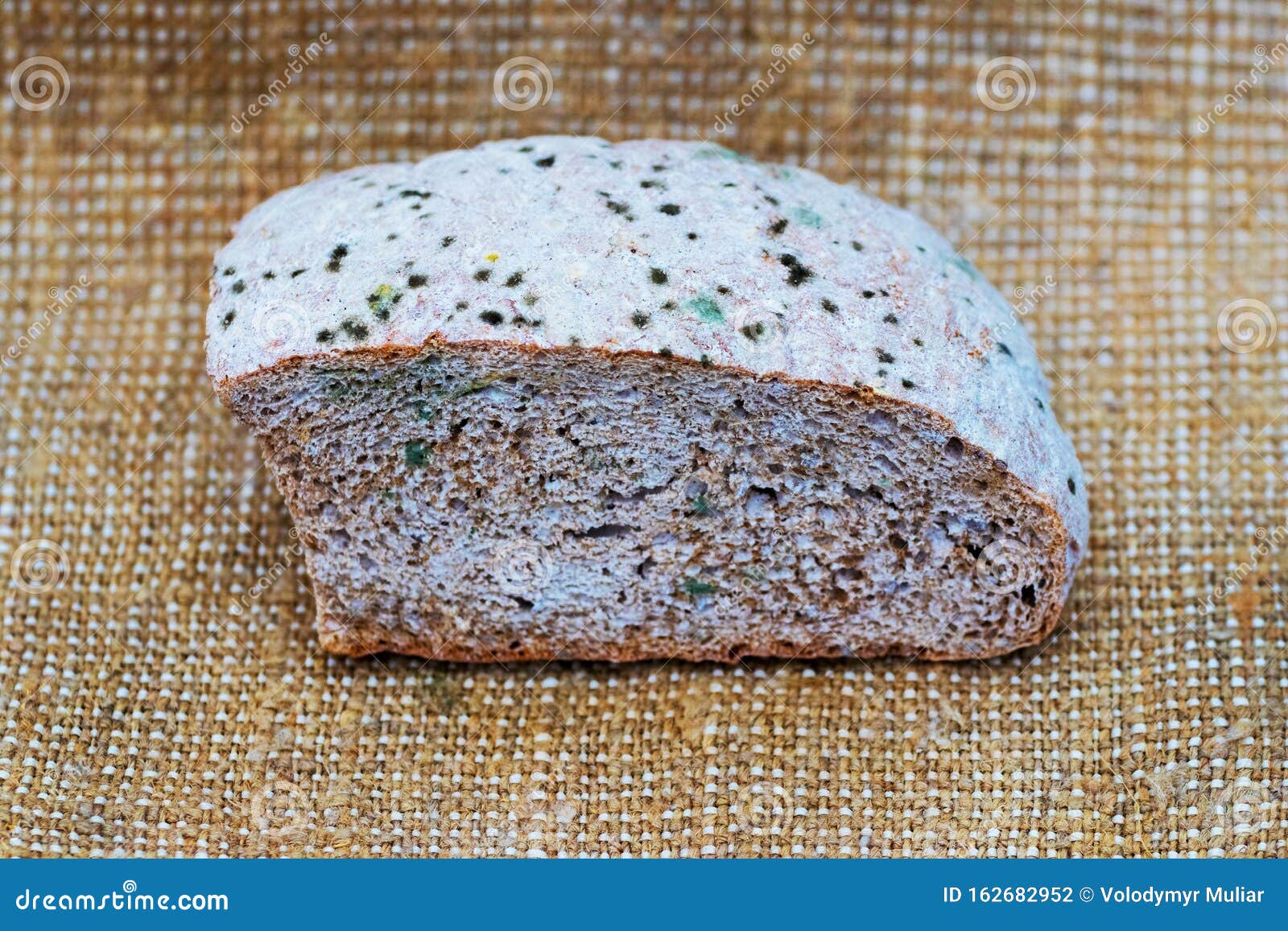 The Stale Bread is Thickly Covered with Mold_ Stock Photo - Image of ...