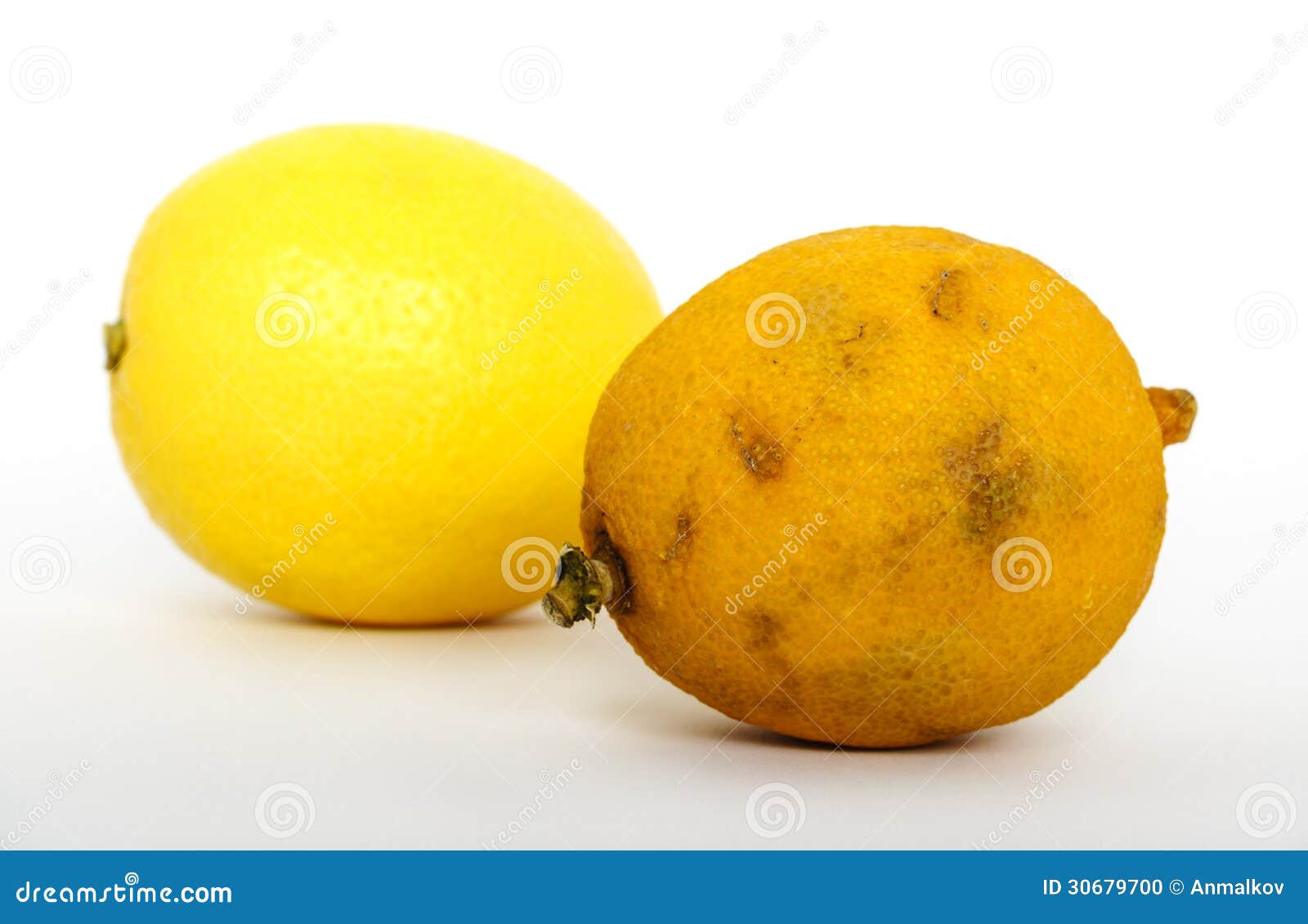 Stale and fresh lemon stock photo. Image of comparison - 30679700
