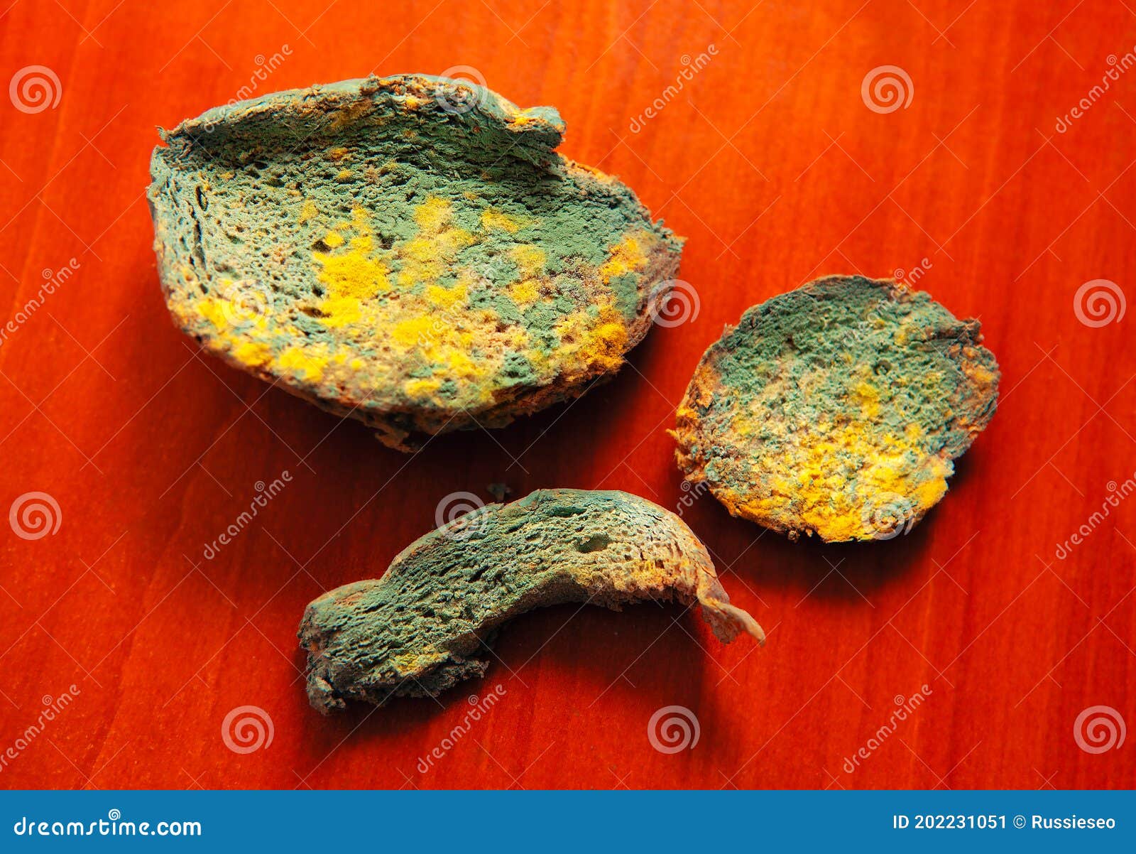 Mycotoxin Contamination Of Wheat, Flour And Bread, Why You Should Never ...