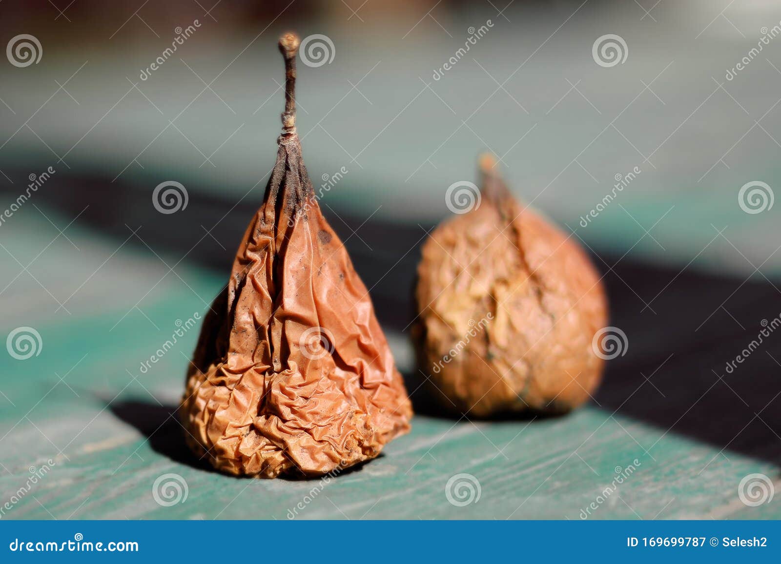Stale Pears, Dried and Ugly. Improper Storage of the Crop Stock Image ...