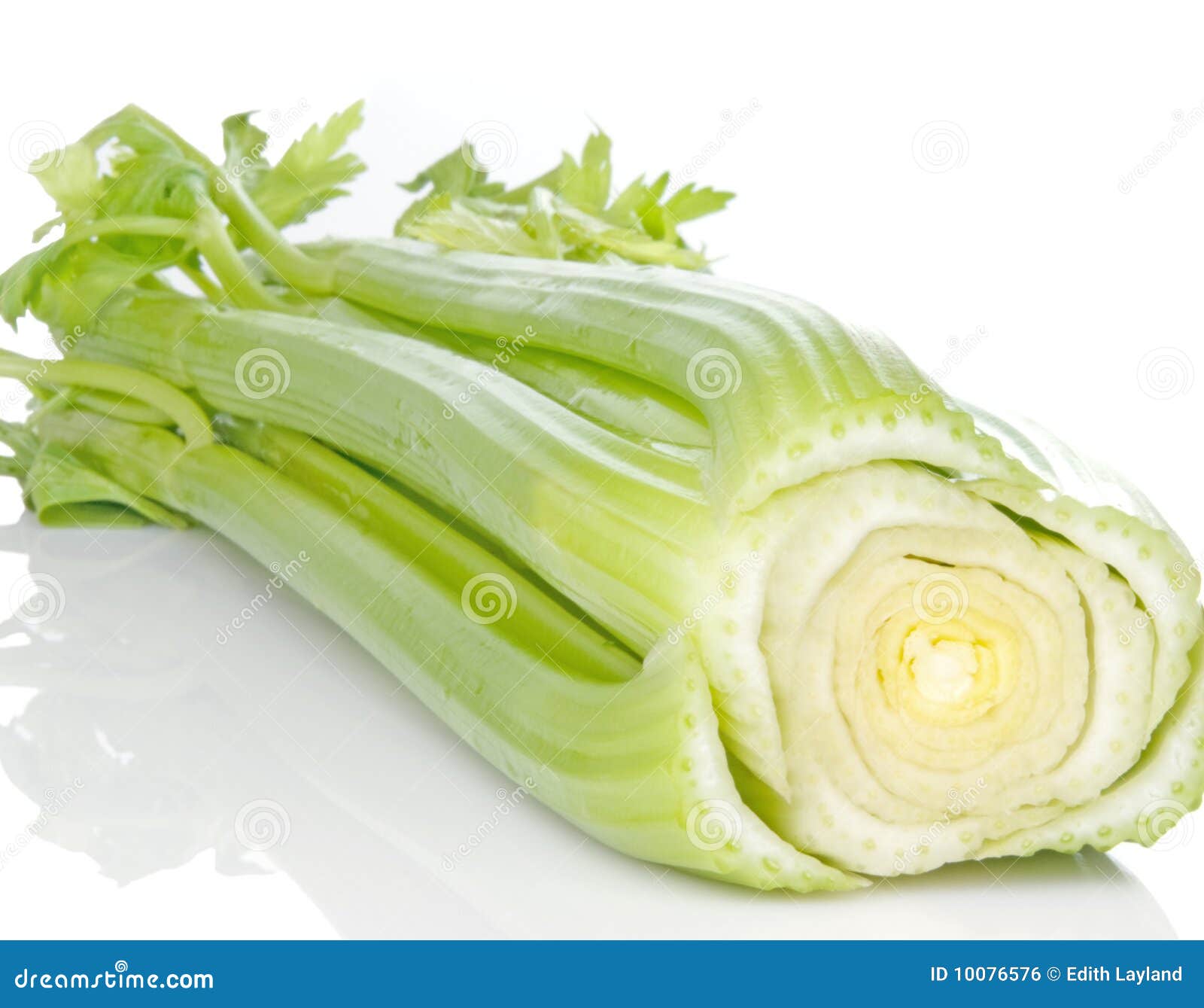 Stalk of Celery stock photo. Image of ripe, vegetable - 10076576