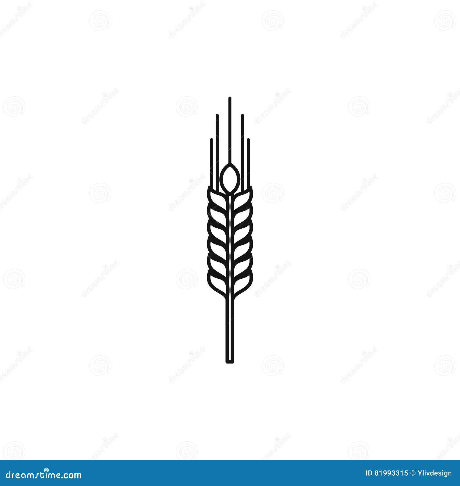 Stalk Of Ripe Barley Icon, Cartoon Style Vector Illustration ...
