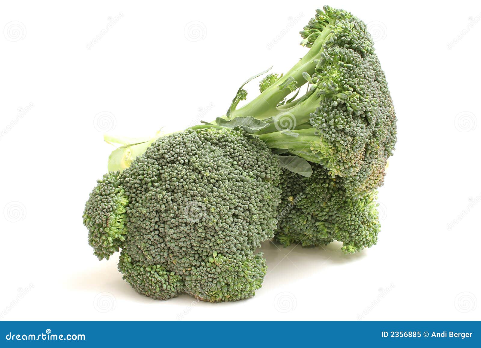 Stalkes of broccoli stock image. Image of market, fruit - 2356885