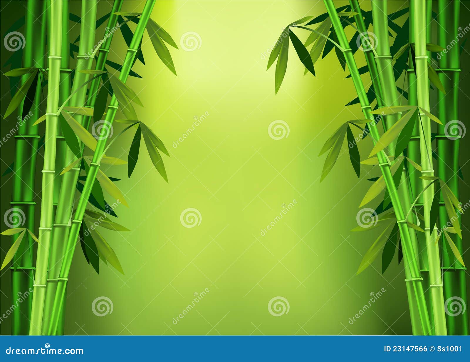 Stalks bamboo stock vector. Illustration of place, natural - 23147566