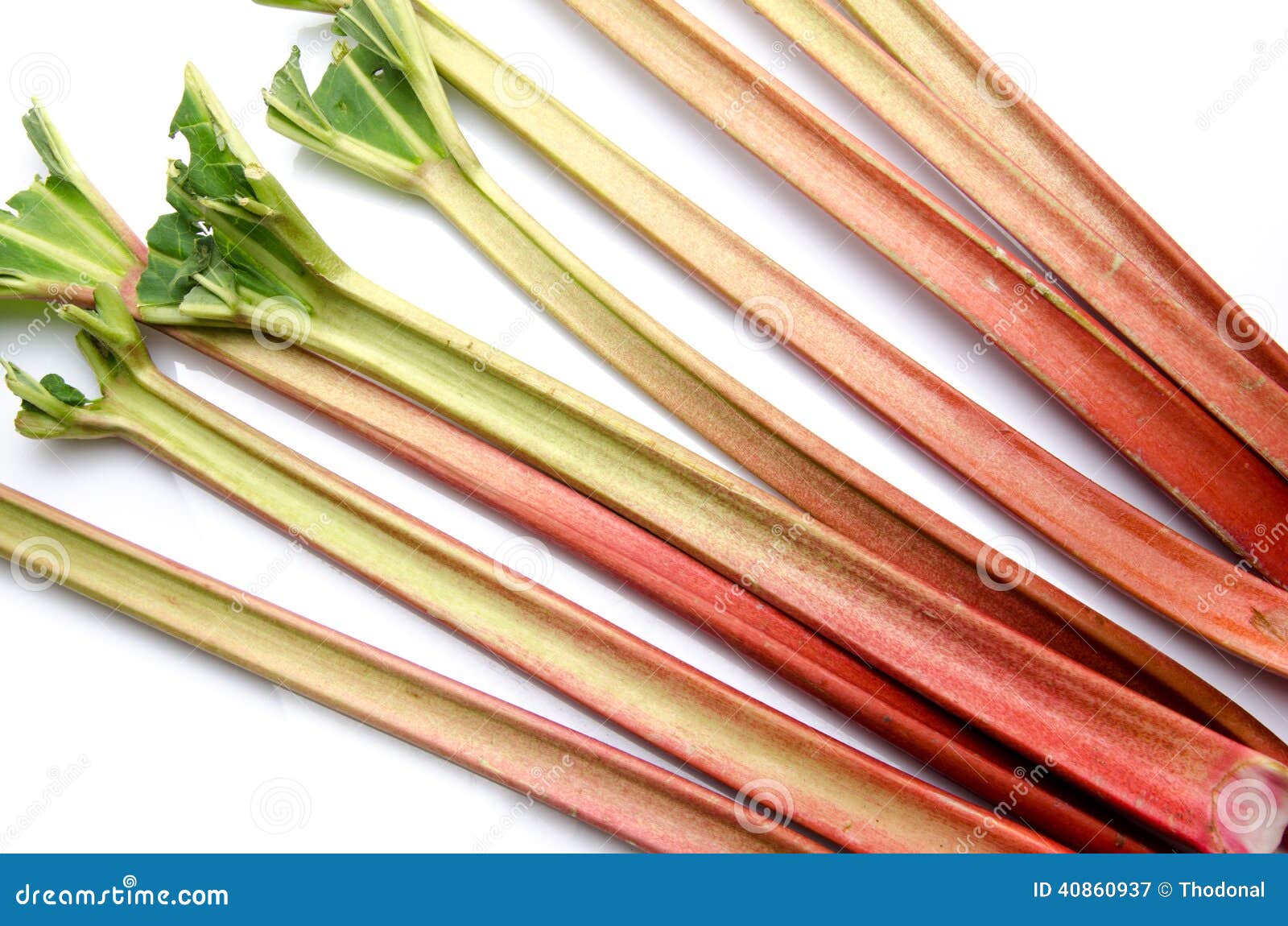 Stalks of fresh rhubarb stock image. Image of vegetarian - 40860937