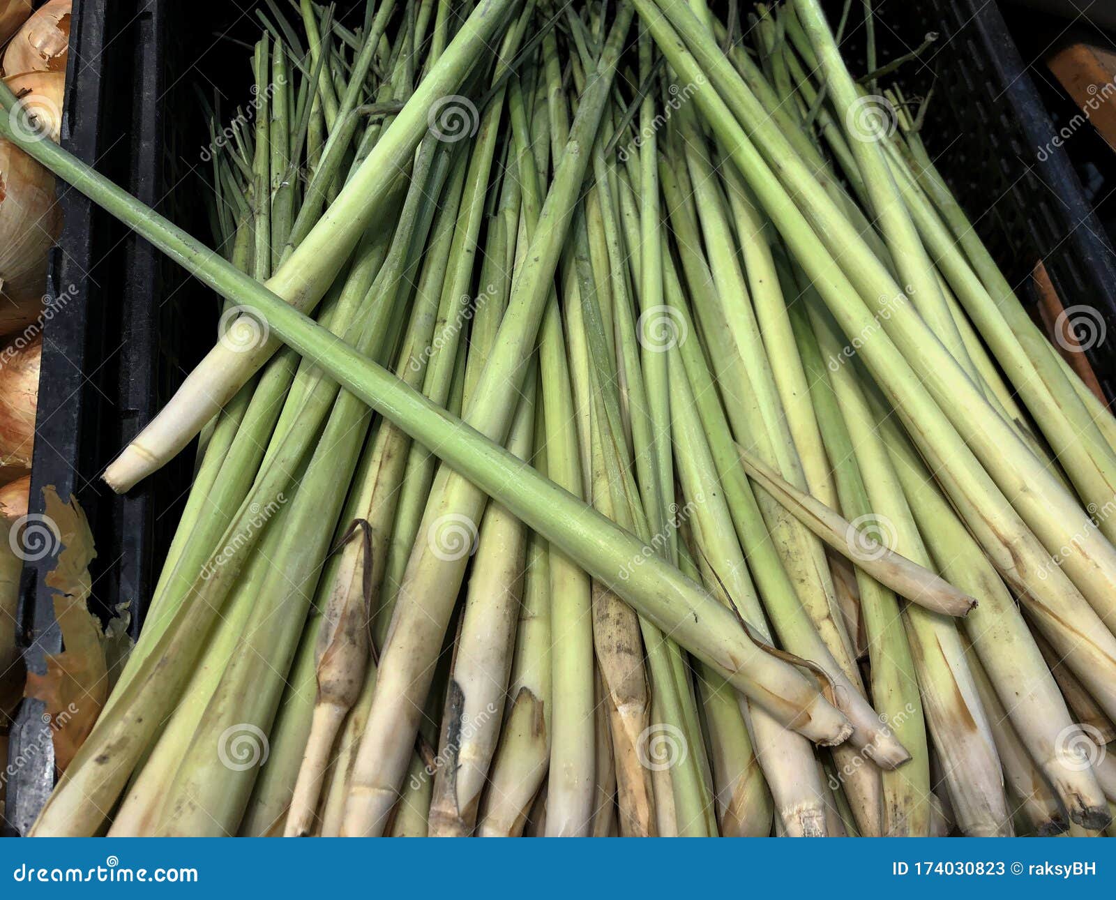 Lemon Grass Stalks, an Aromatic Herb for Cooking Stock Image - Image of ...