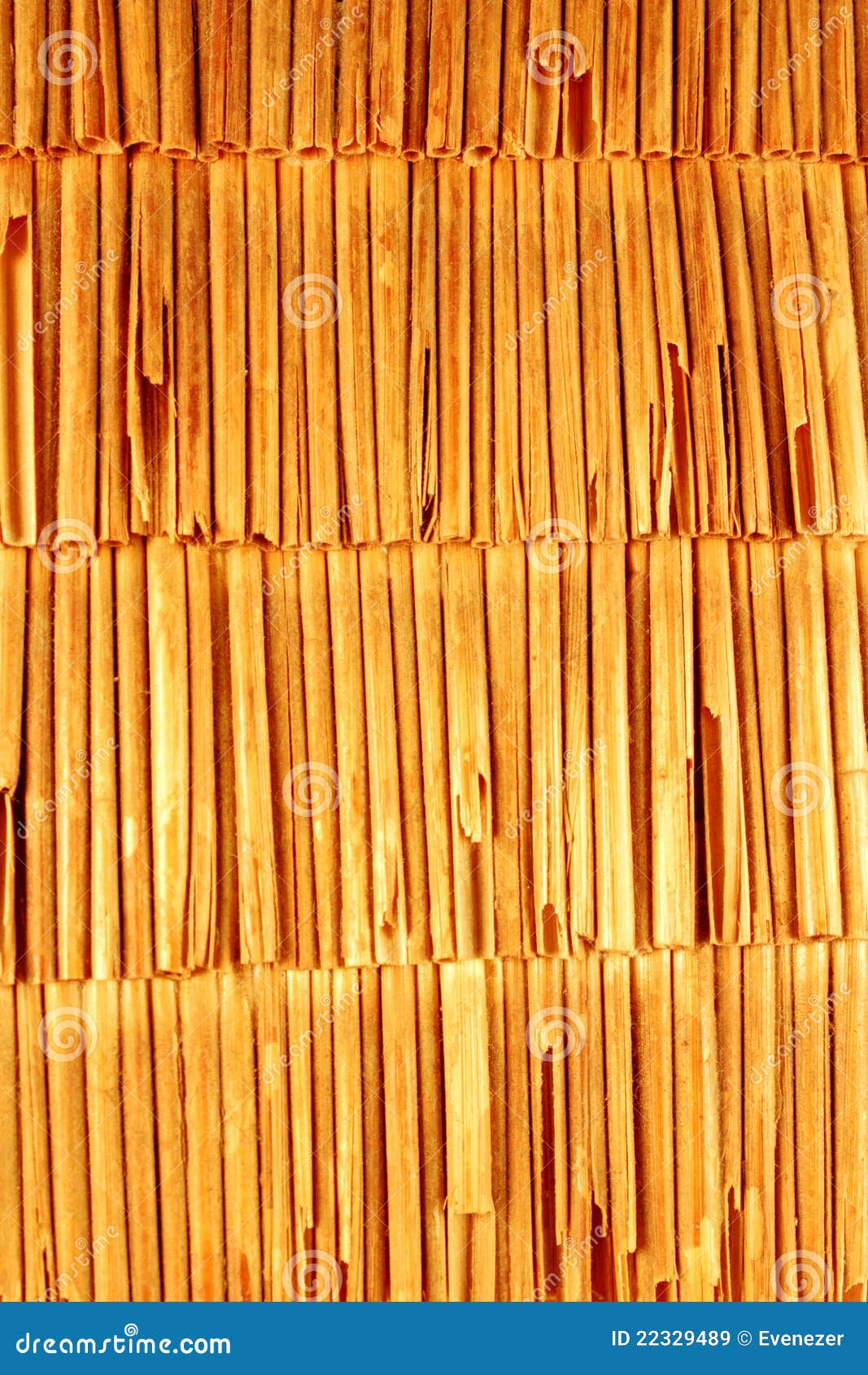 Stalks of straw stock image. Image of agricultural, outdoor - 22329489