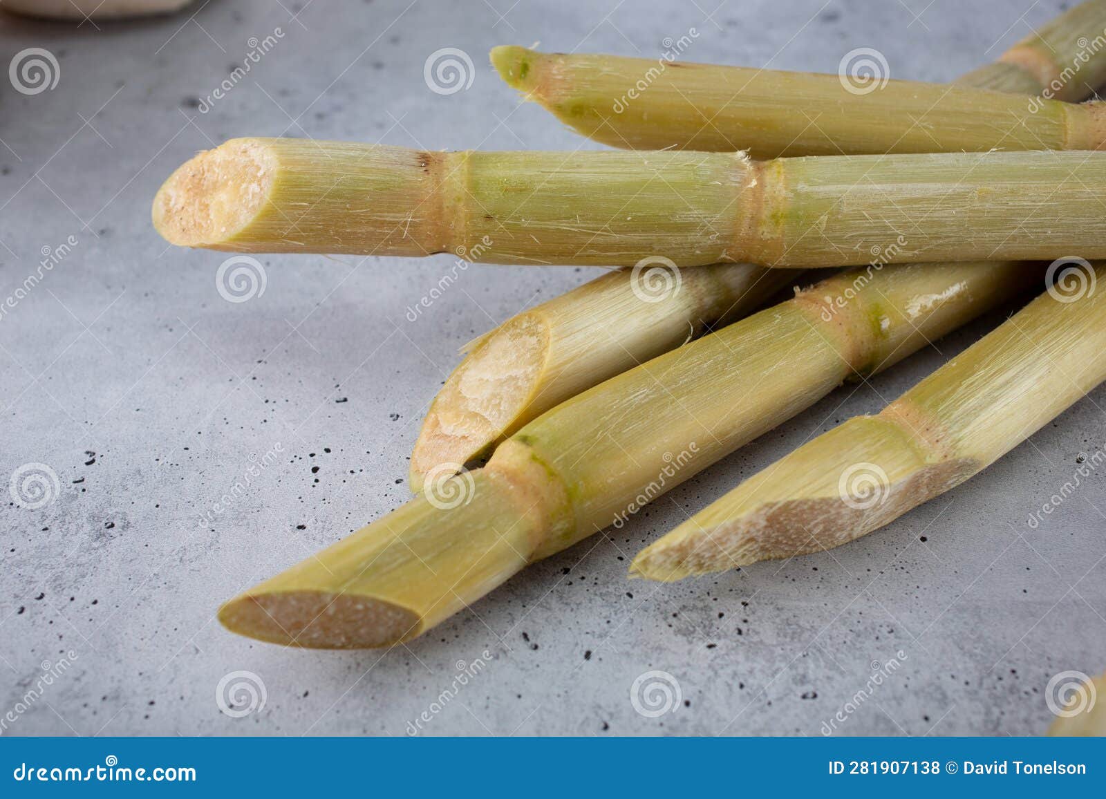 Stalks of sugar cane stock photo. Image of agriculture - 281907138