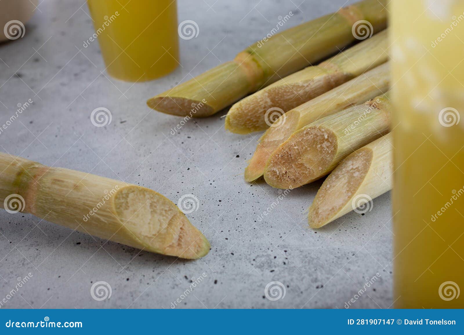 Stalks of sugarcane stock image. Image of plant, organic - 281907147