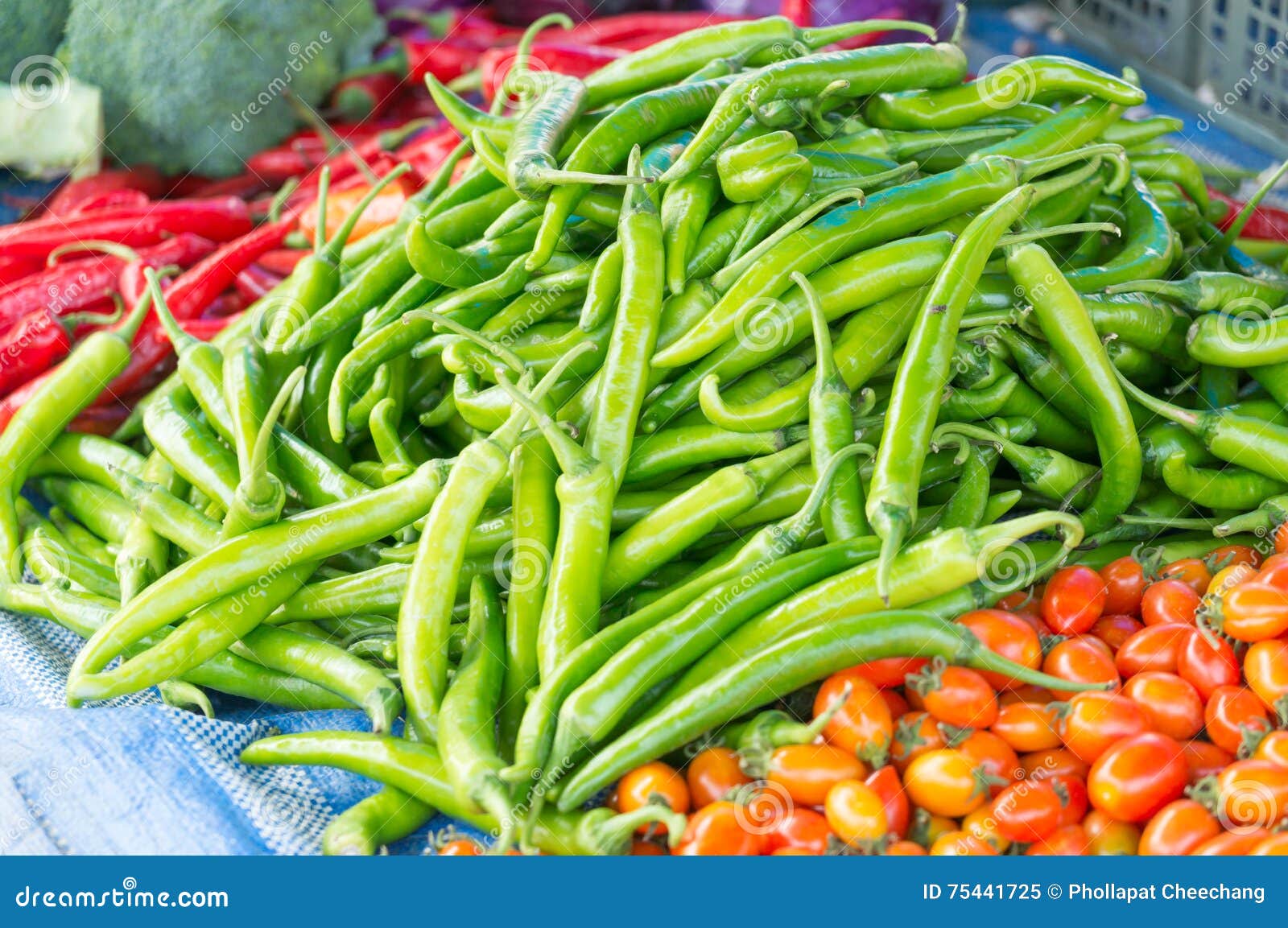 Stall of Chilli at the Market Stock Image - Image of chilly, spice ...