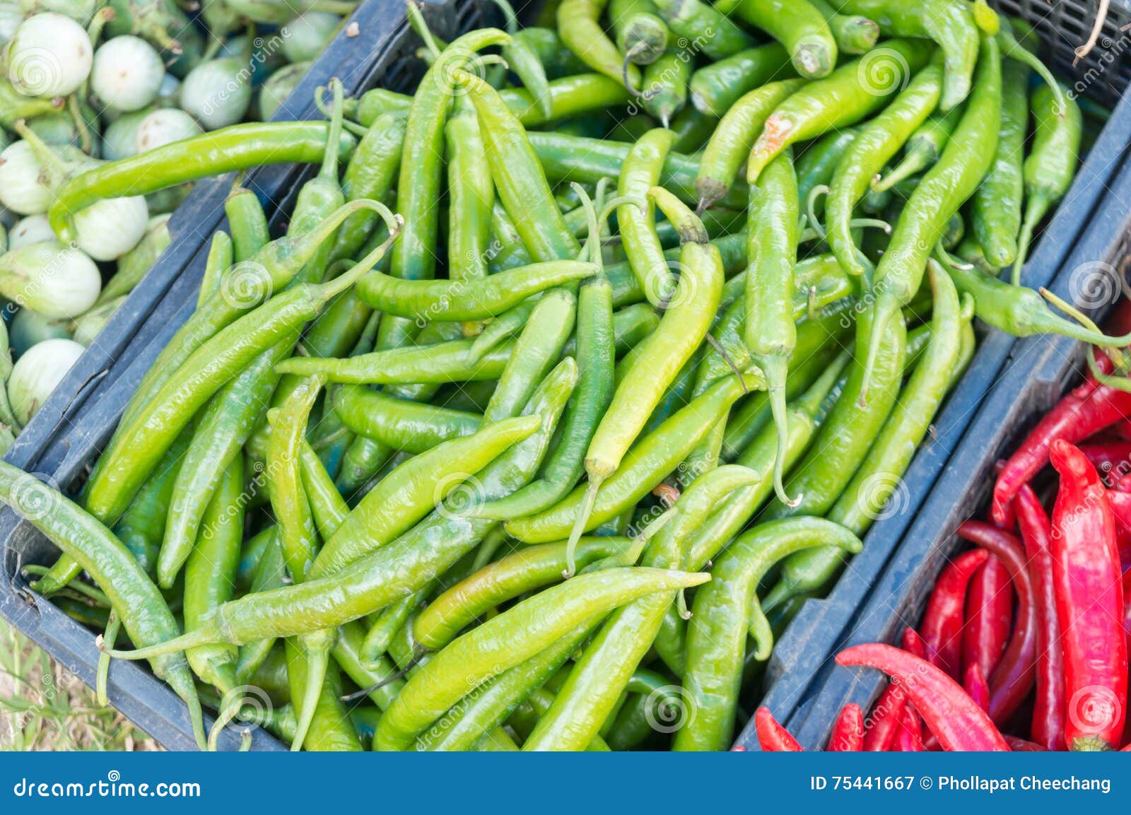 Stall of Chilli at the Market Stock Image - Image of fresh, nature ...
