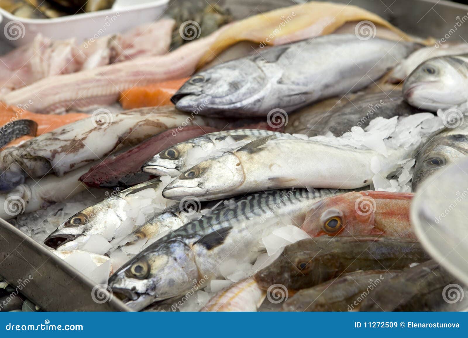 Stall of Fishes at the Fish Merchant Stock Image - Image of ridge ...