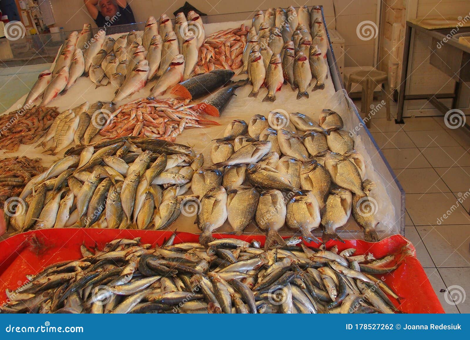 Stall with Various Types of Fish in the Store Stock Photo - Image of ...
