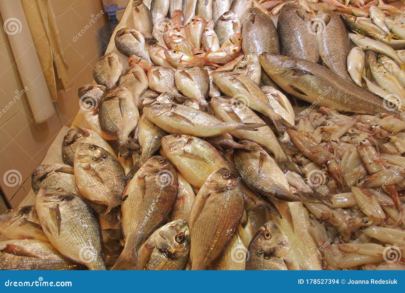 Stall with Various Types of Fish in the Store Stock Photo - Image of ...