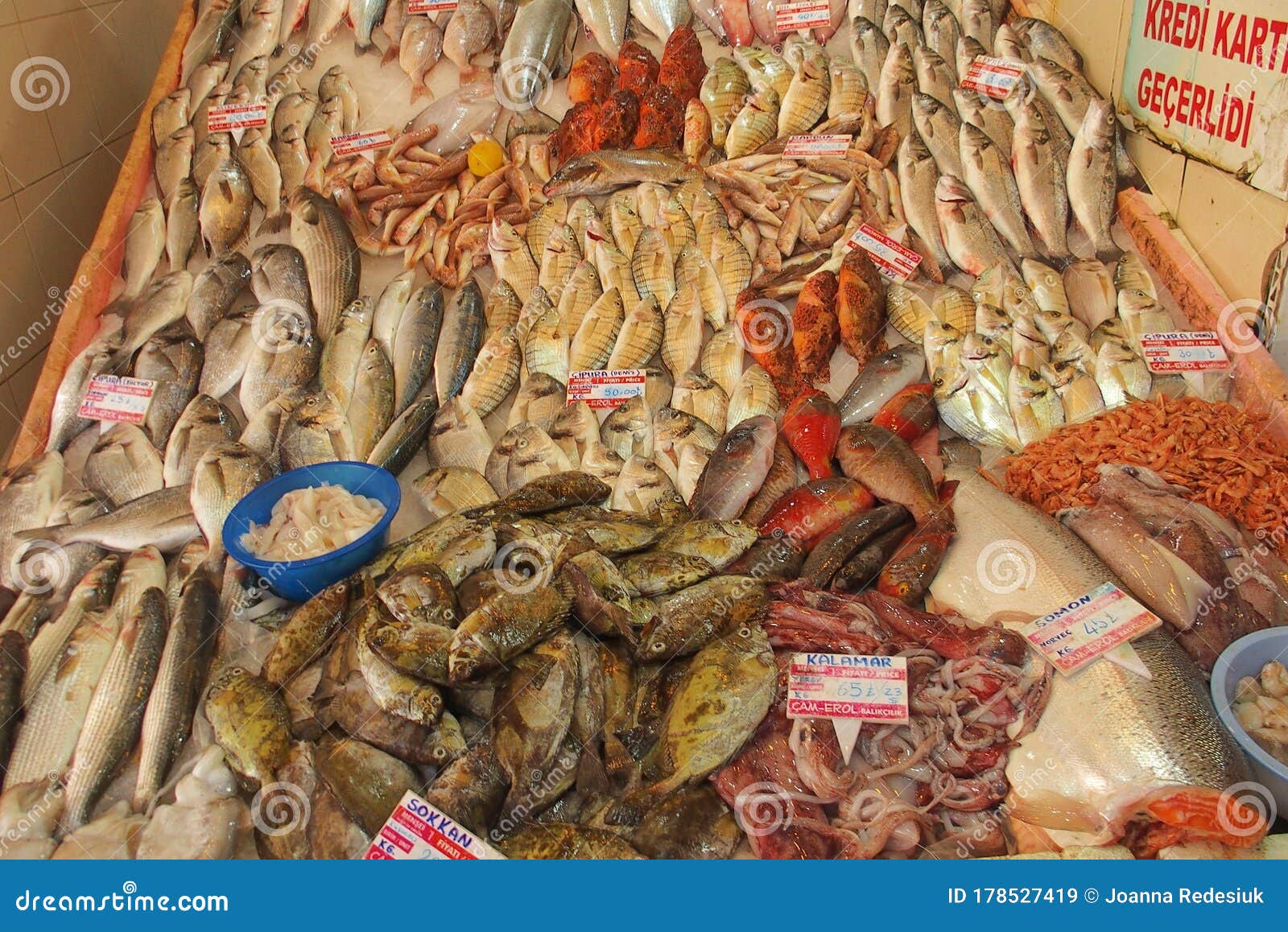 Two Types Of Fish Corydoras Paleatus Known As Sheatfish And Ordinary ...