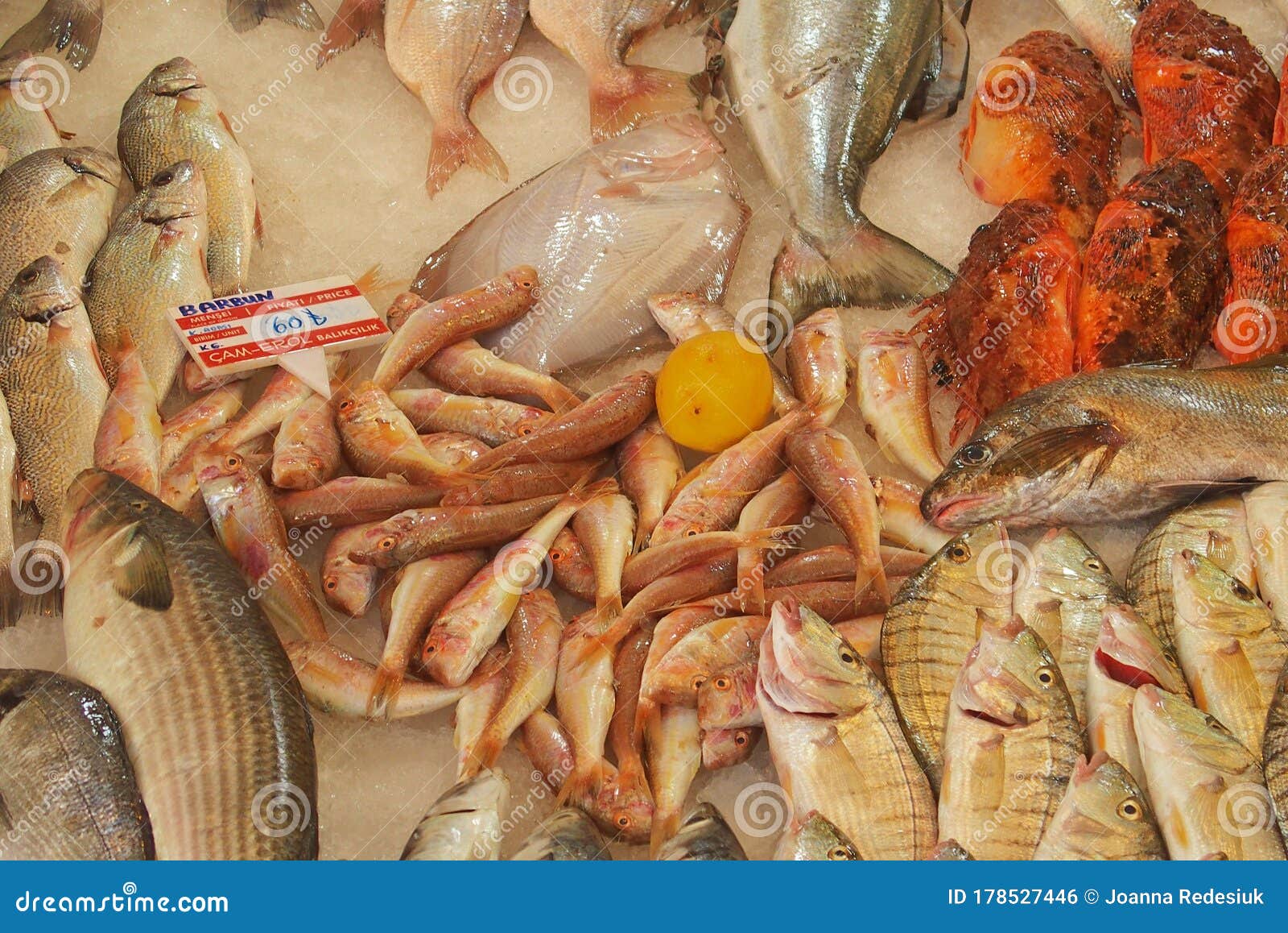 Stall with Various Types of Fish in the Store Stock Photo - Image of ...