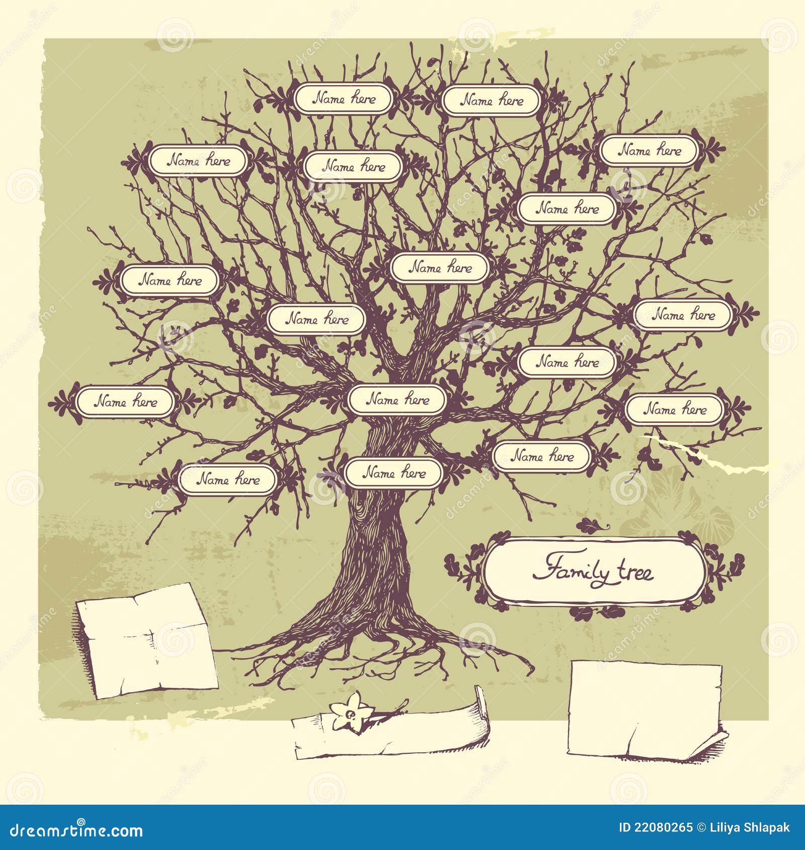 Stammbaum. Lizenzfreies Stockfoto - Bild: 22080265