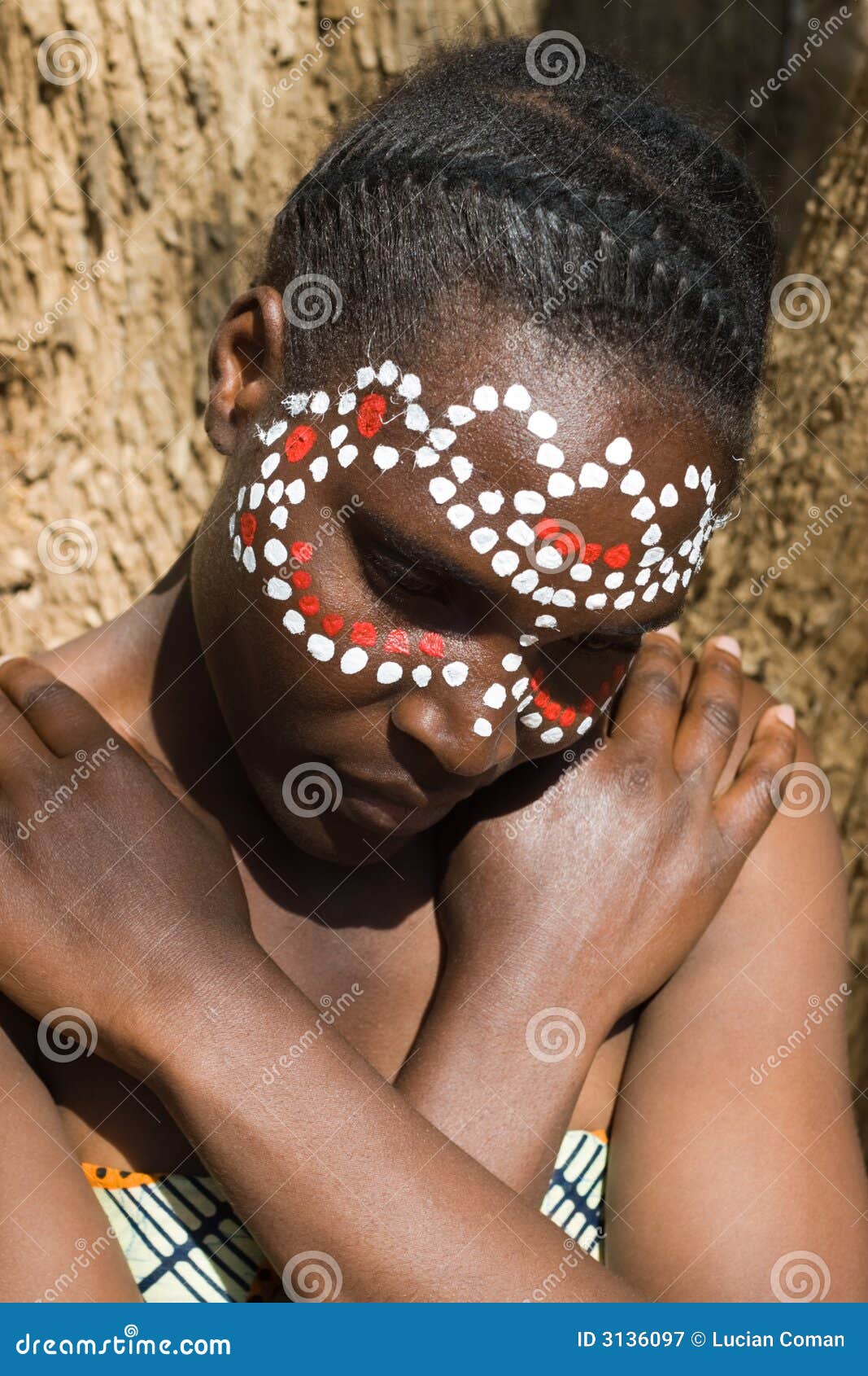 Stammen gezicht stock afbeelding. Image of herkenningssloten - 3136097