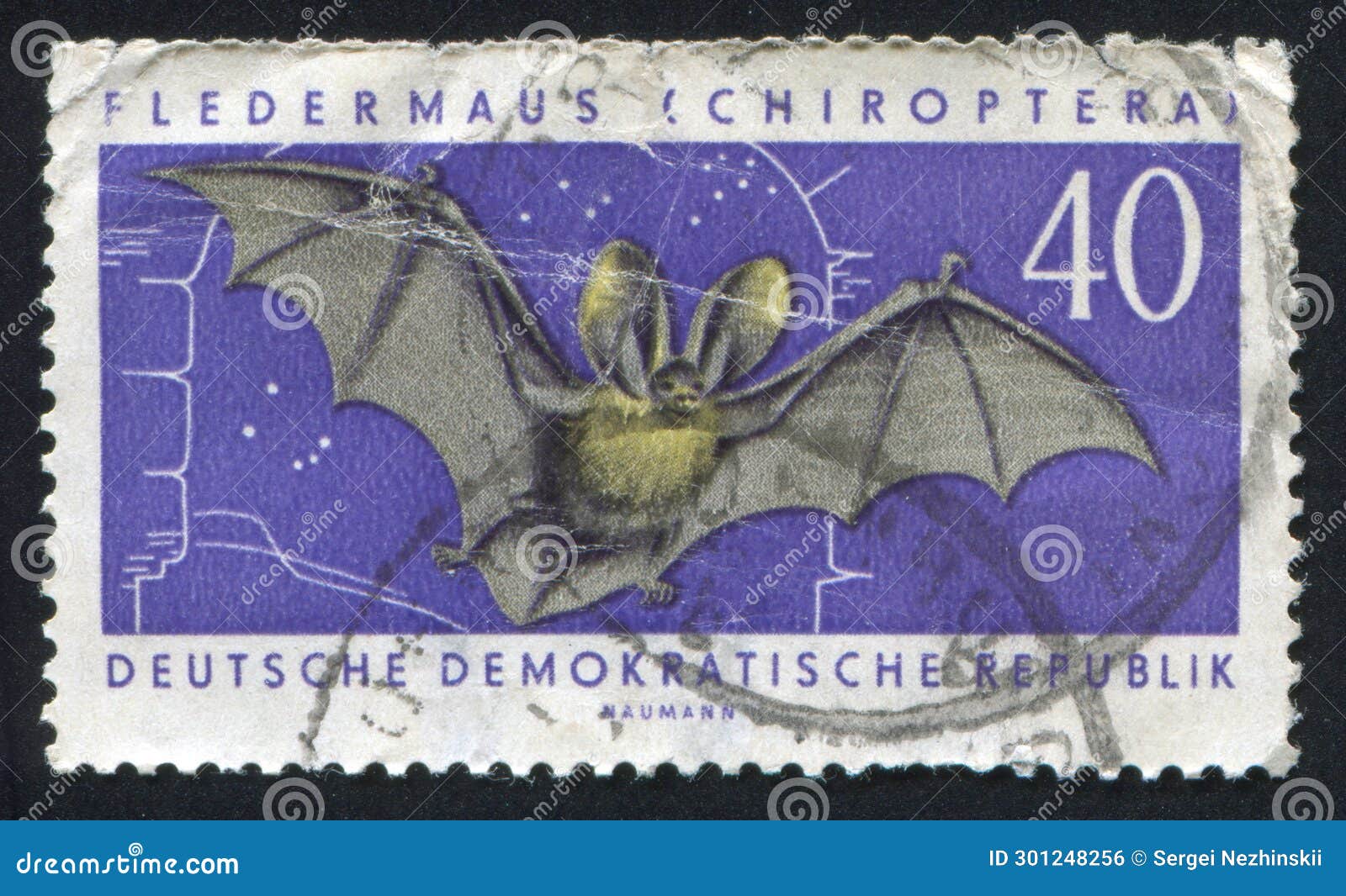 Stamp Bat editorial photo. Image of body, head, 1962 - 301248256