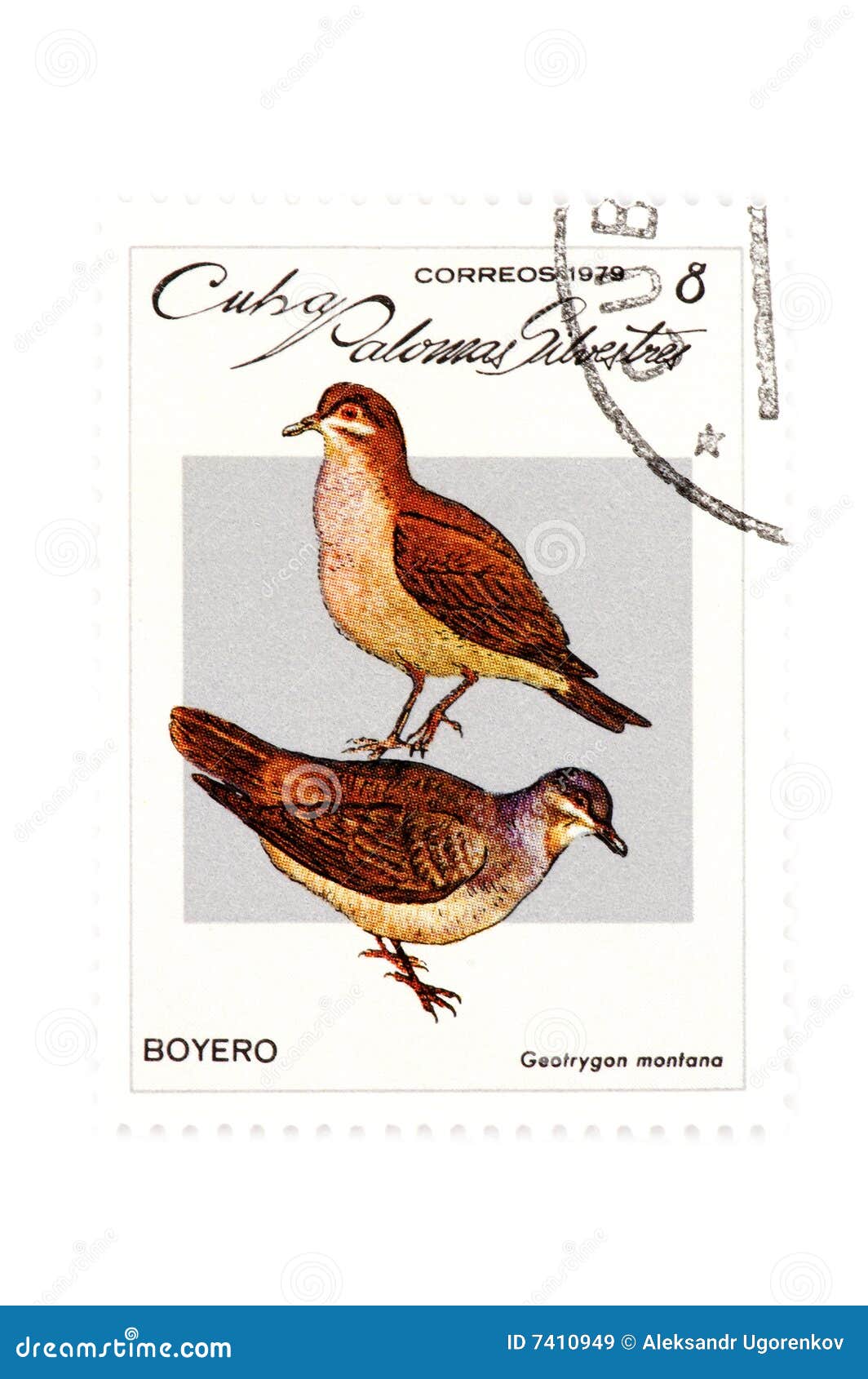 Stamp bird editorial stock image. Image of obsolete, monticola - 7410949
