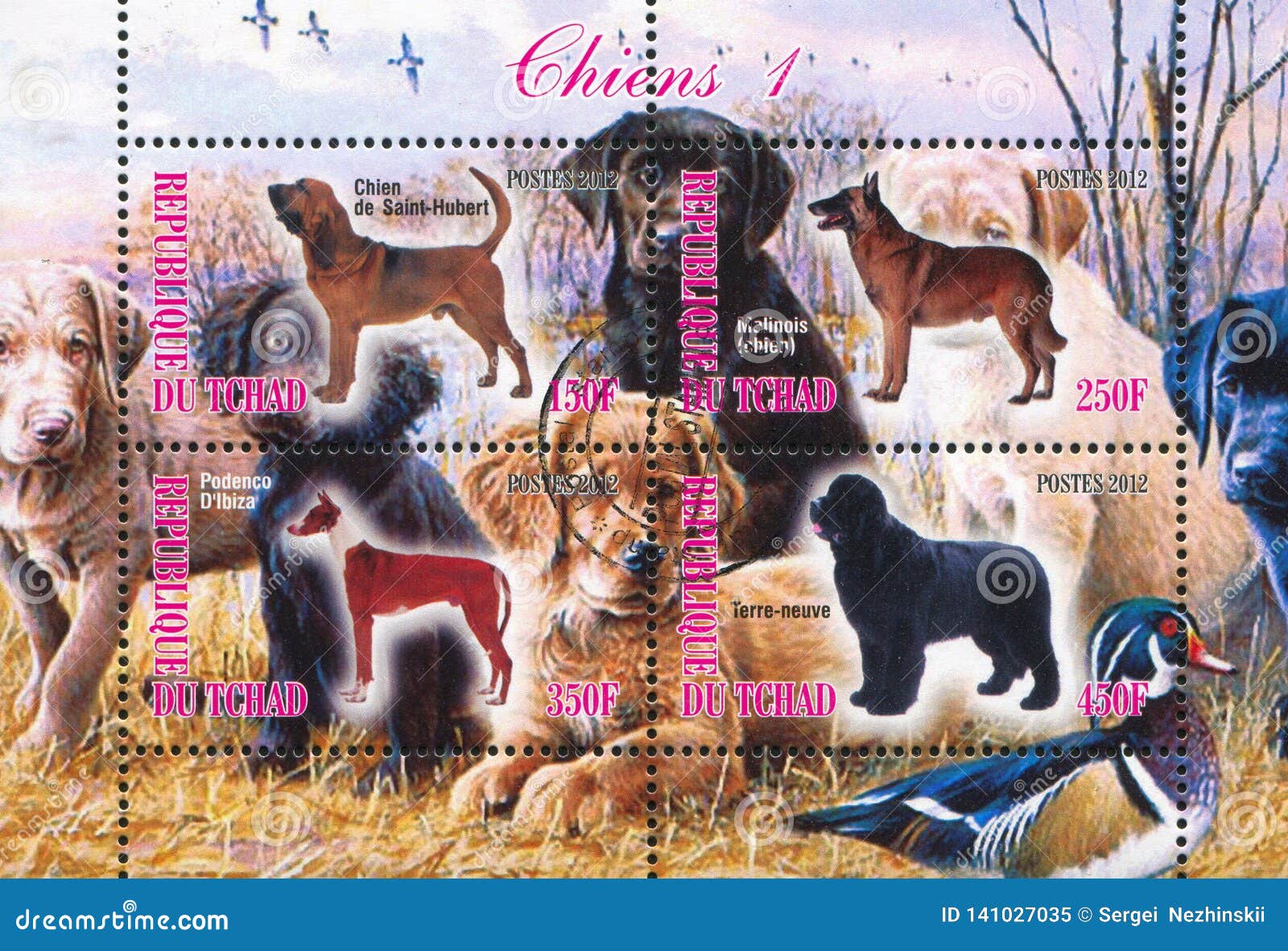 Stamp dogs editorial image. Image of hound, ibizan, chien - 141027035