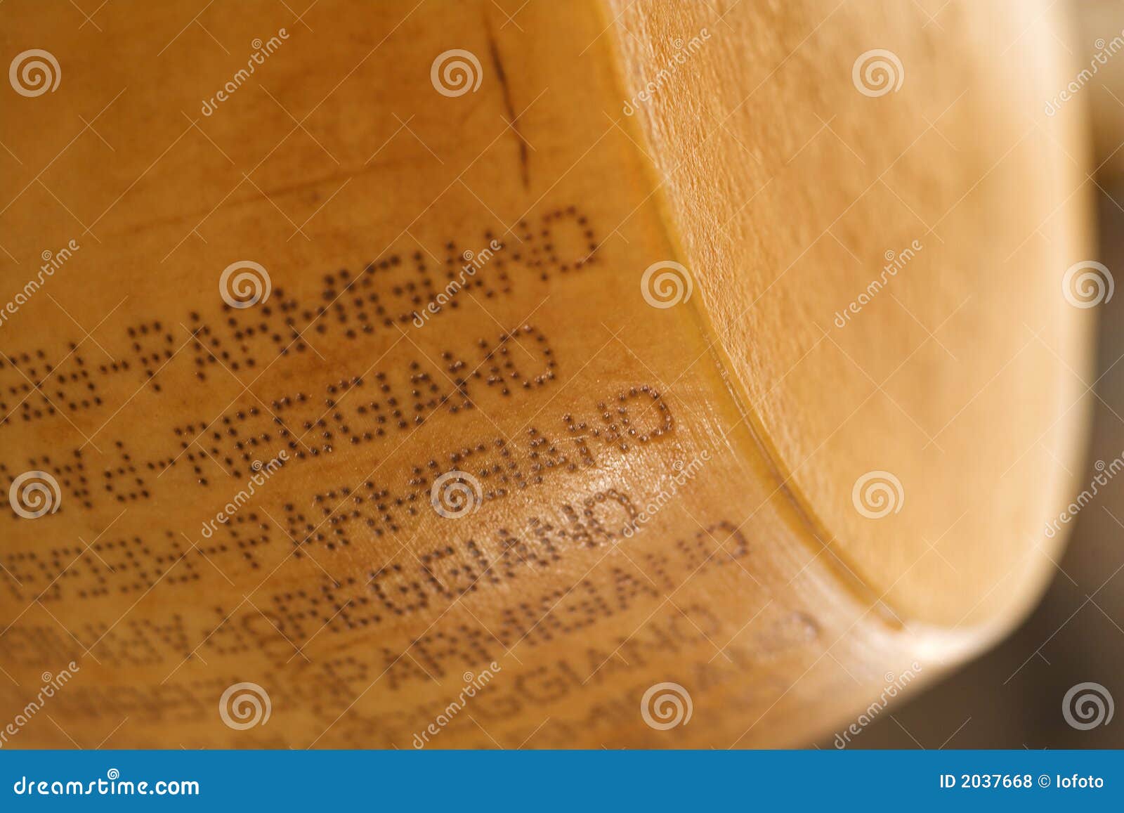 Stamped parmigiano cheese. stock photo. Image of dairy - 2037668