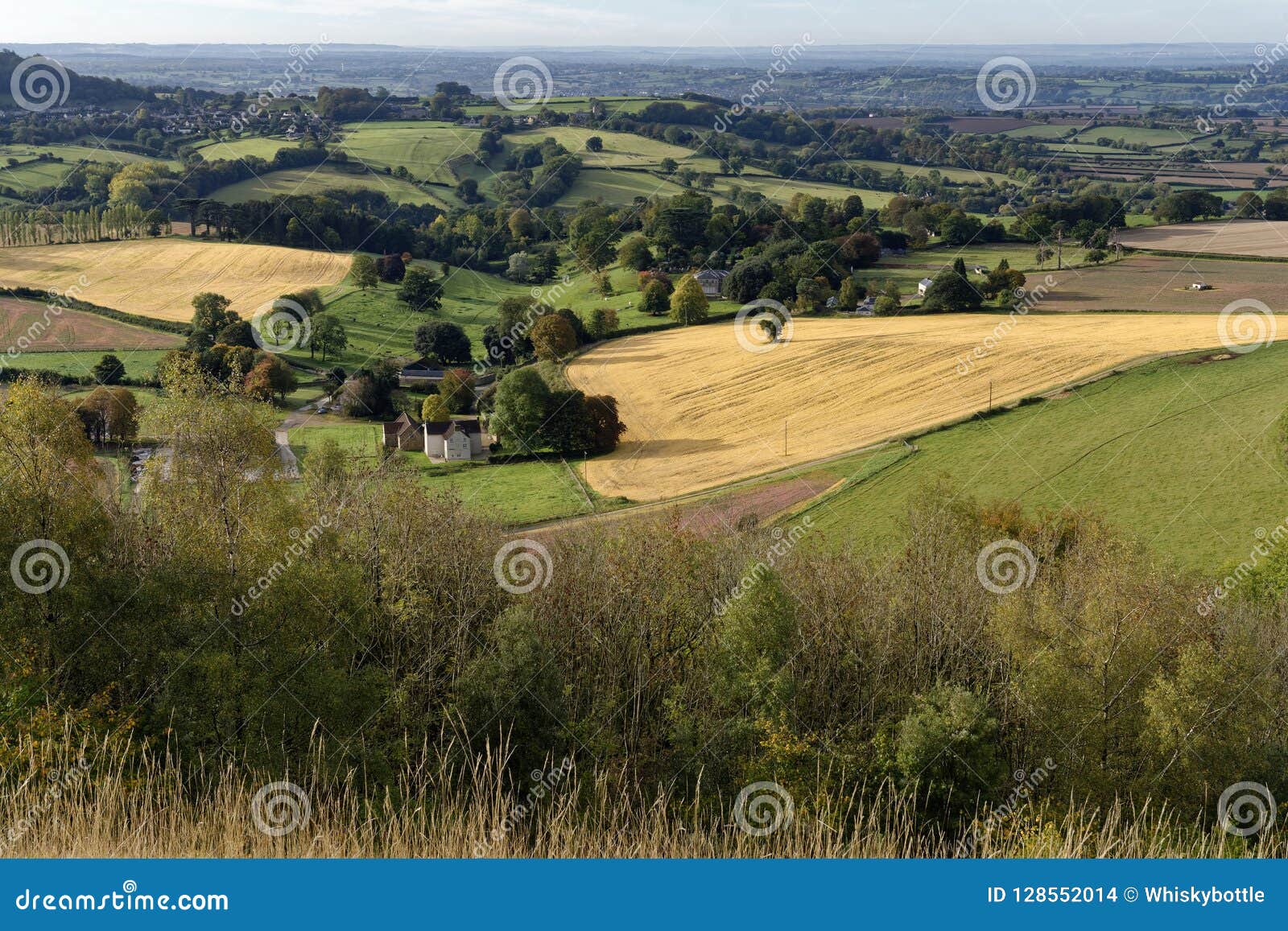 Stancombe Park, Dursley stock photo. Image of pasture - 128552014