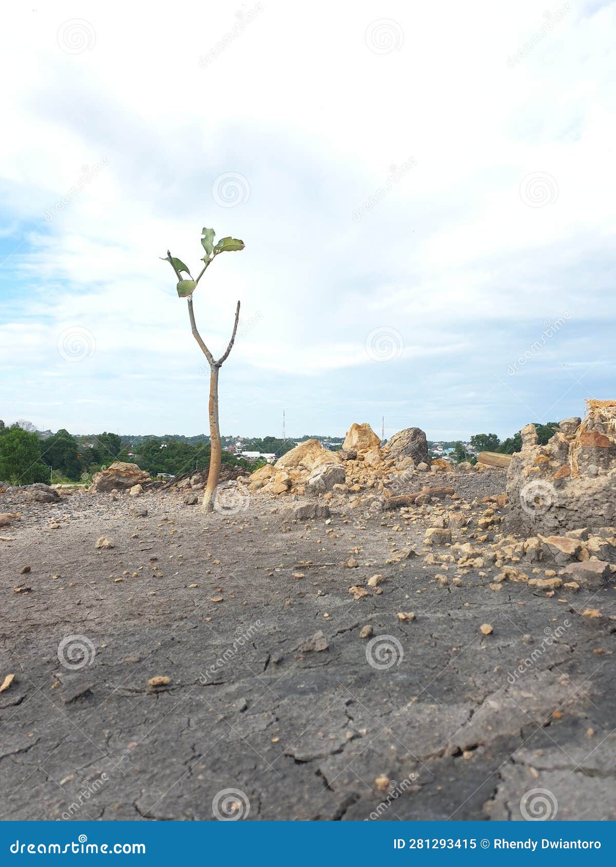 Stand Alone in the Dry Soil Stock Image - Image of terrain, geology ...