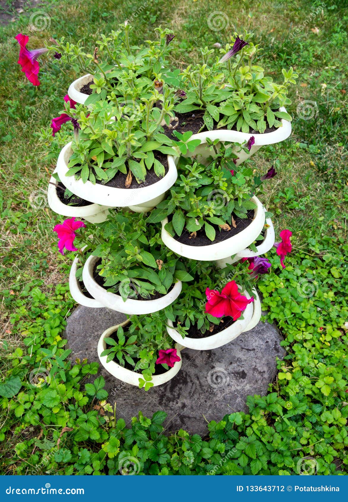 Stand for Flowers of Complex Shape in the Park Stock Photo - Image of ...