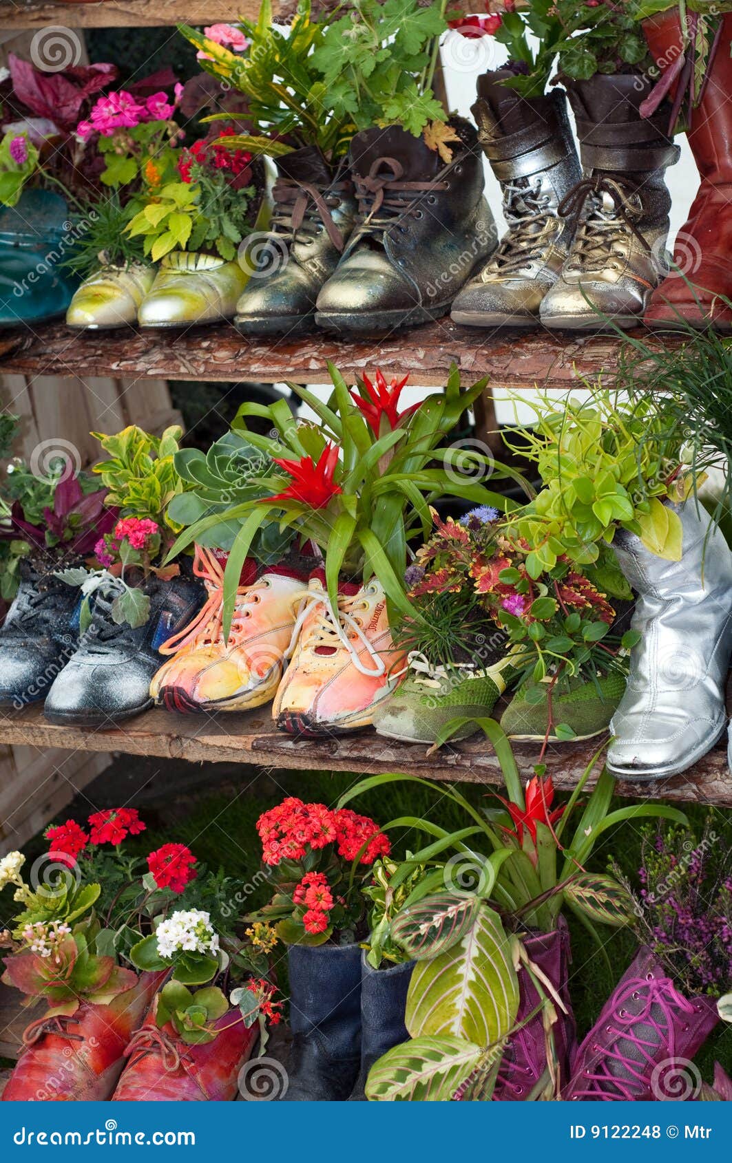 Stand with Flowers Planted in Shoes Stock Photo - Image of house ...