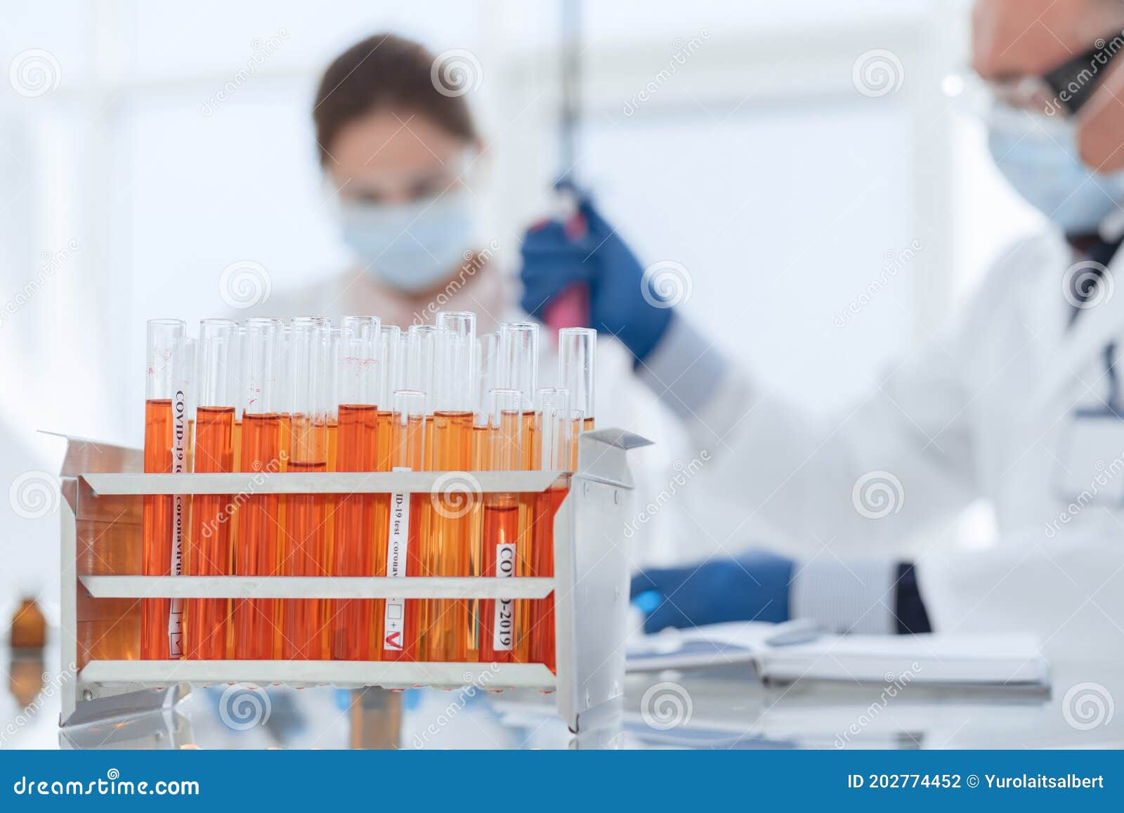 Stand with Test Tubes on the Table in the Laboratory. Stock Photo ...