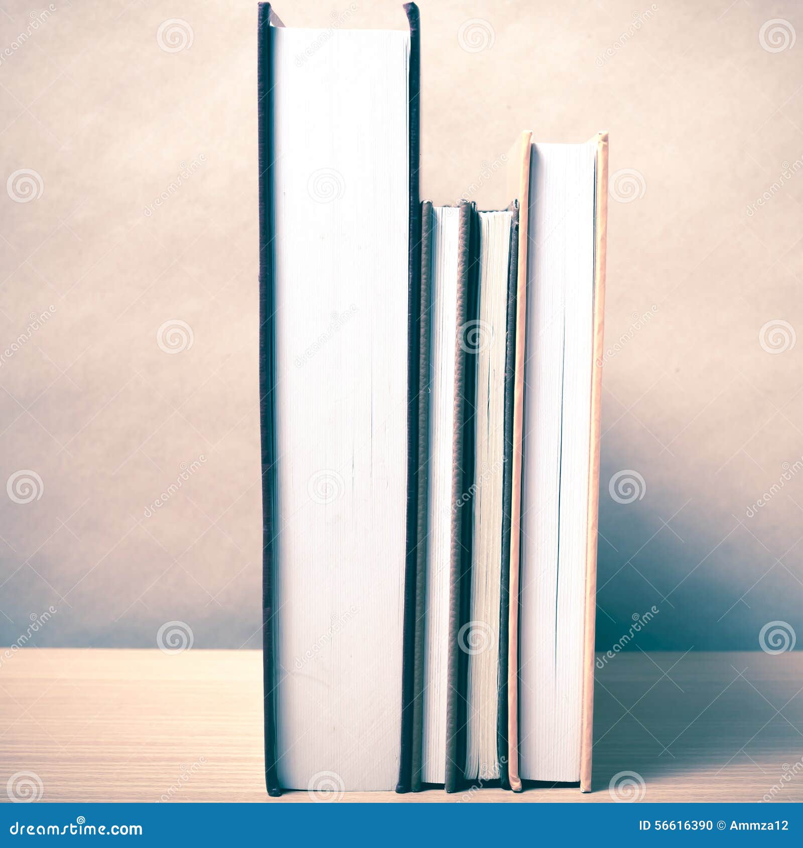 Stand up book stock photo. Image of document, text, color - 56616390