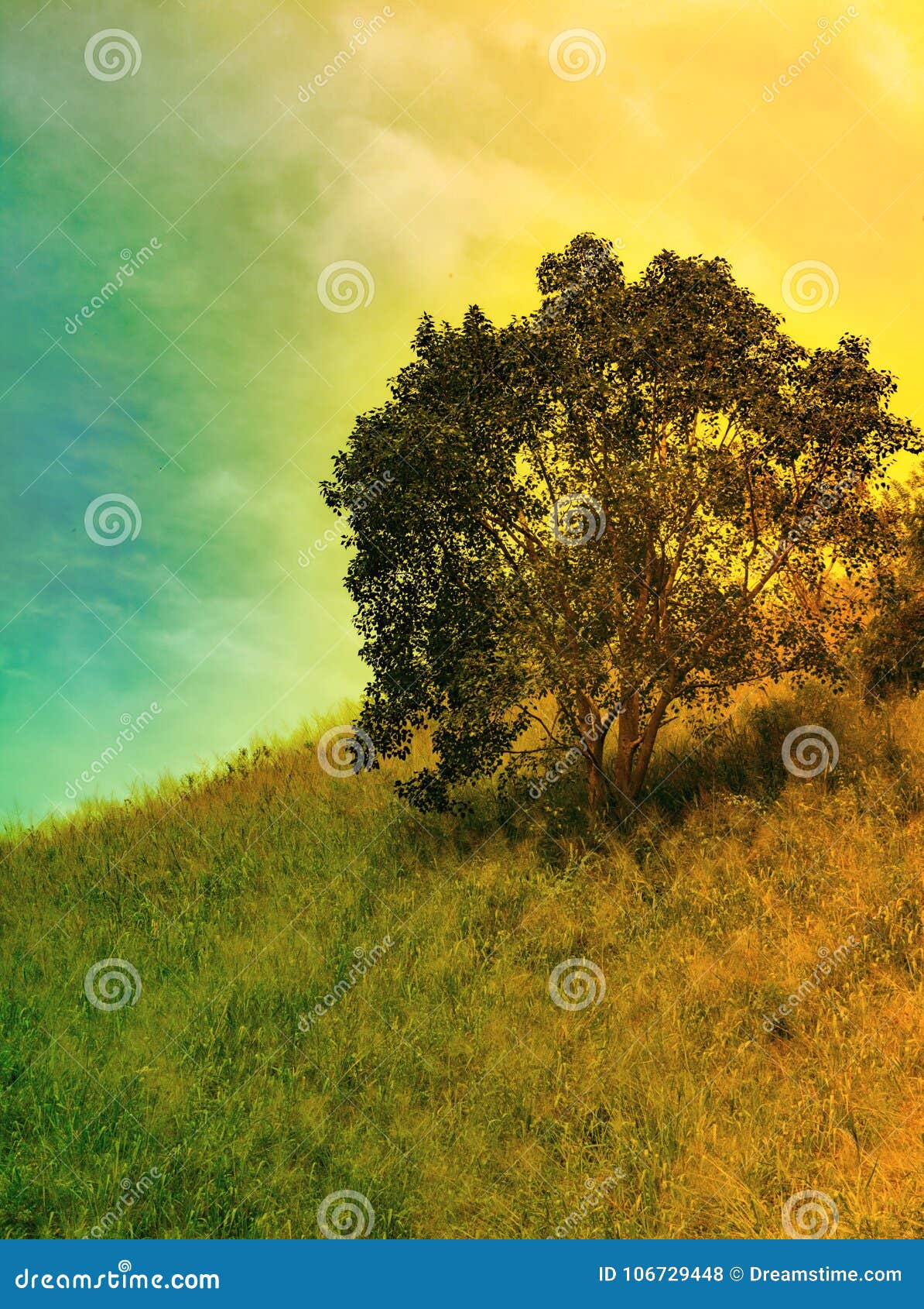 Standalone tree on a brush stock photo. Image of clouds - 106729448
