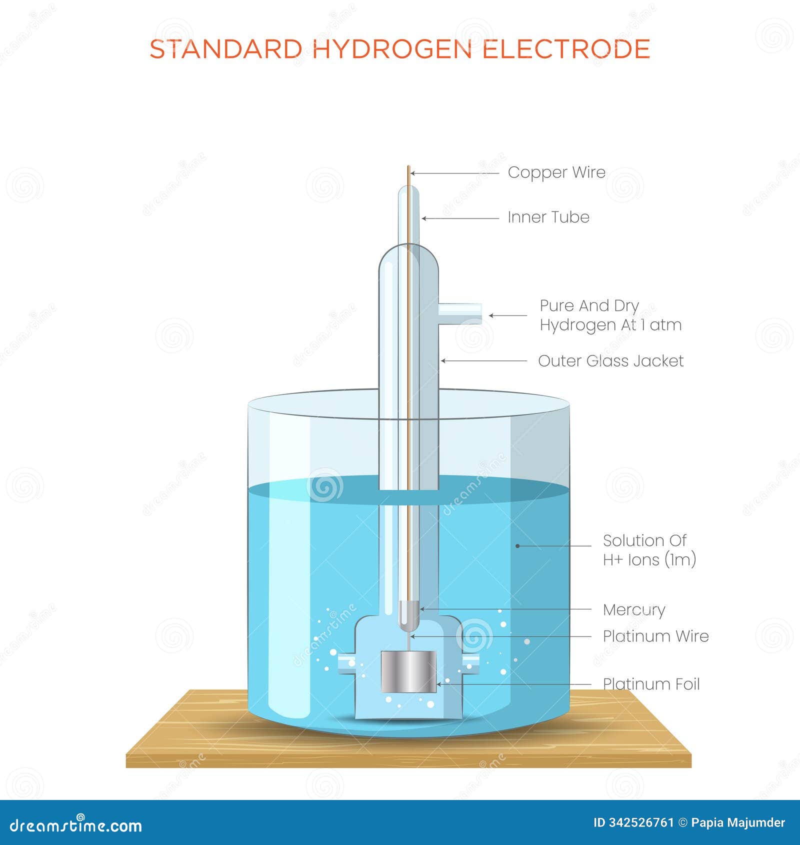 Standard Hydrogen Electrode (she) Reference Electrode for Measuring ...