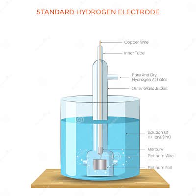 Standard Hydrogen Electrode (she) Reference Electrode for Measuring ...