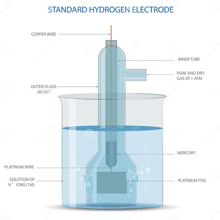 A Standard Hydrogen Electrode (she) is an Electrode that Scientists Use ...