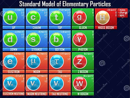 Standard Model of Elementary Particles Stock Illustration ...