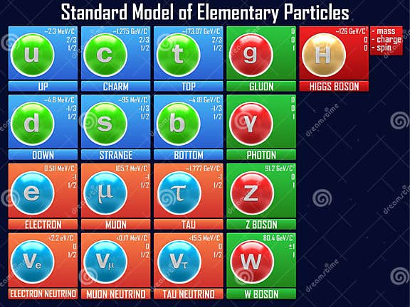 Standard Model of Elementary Particles Stock Illustration ...