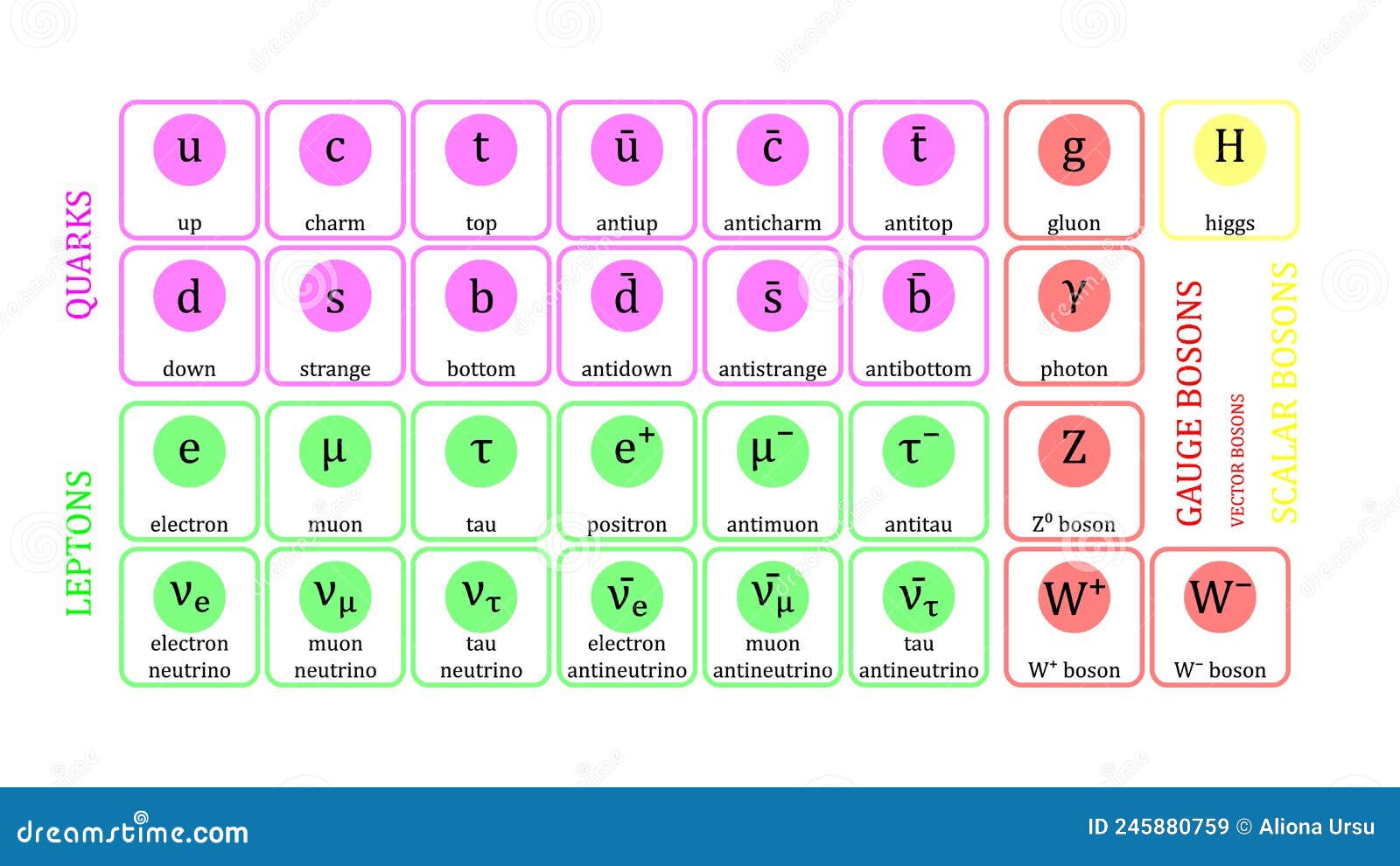 Standard Model Of Elementary Particles Stock Photography ... Standard Model Of Elementary Particles Stock Photography ...