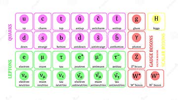Standard Model of Elementary Particles Stock Vector - Illustration of ...