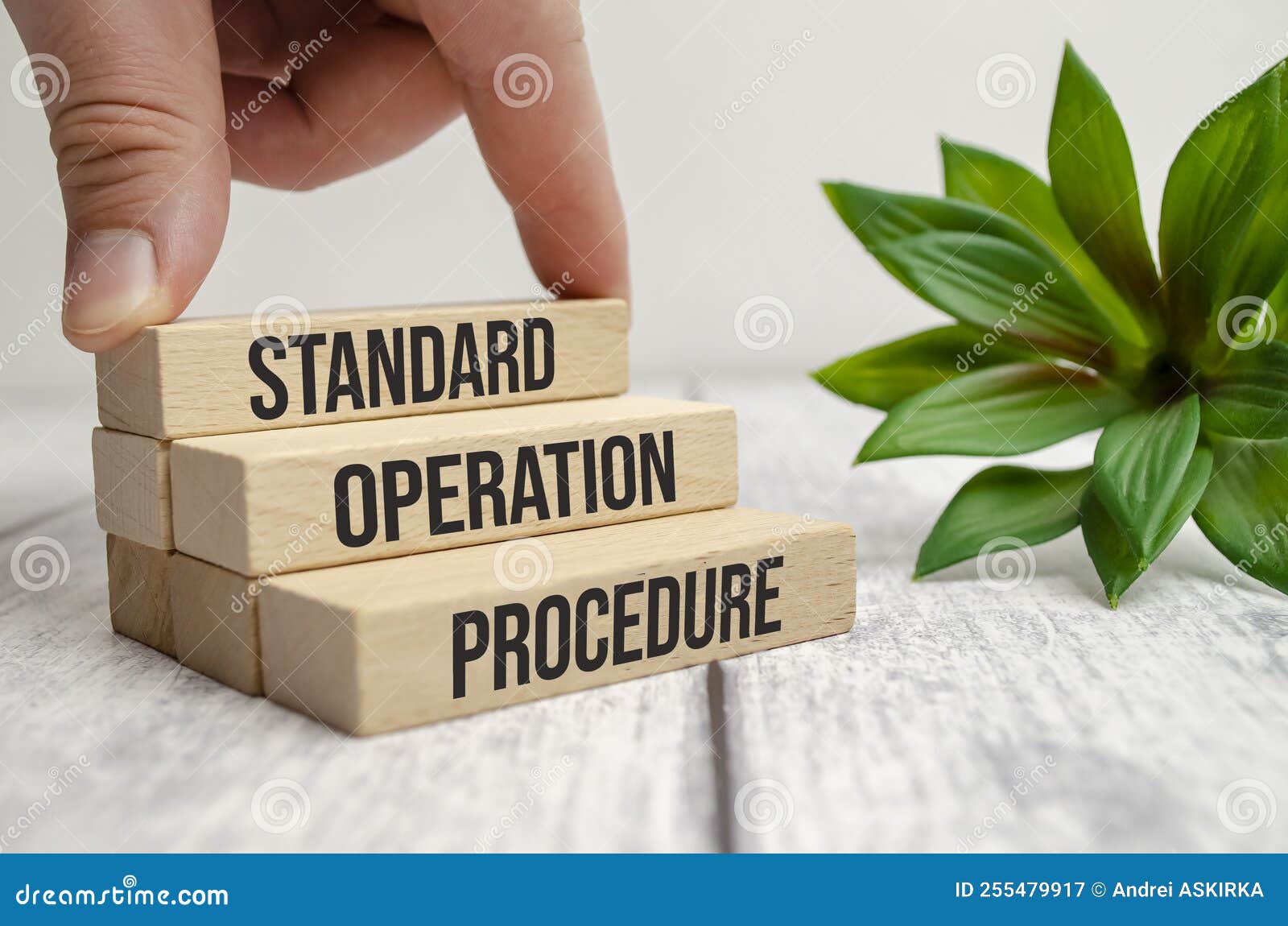 Standard Operation Procedure Words on Wooden Blocks and Hand Stock ...